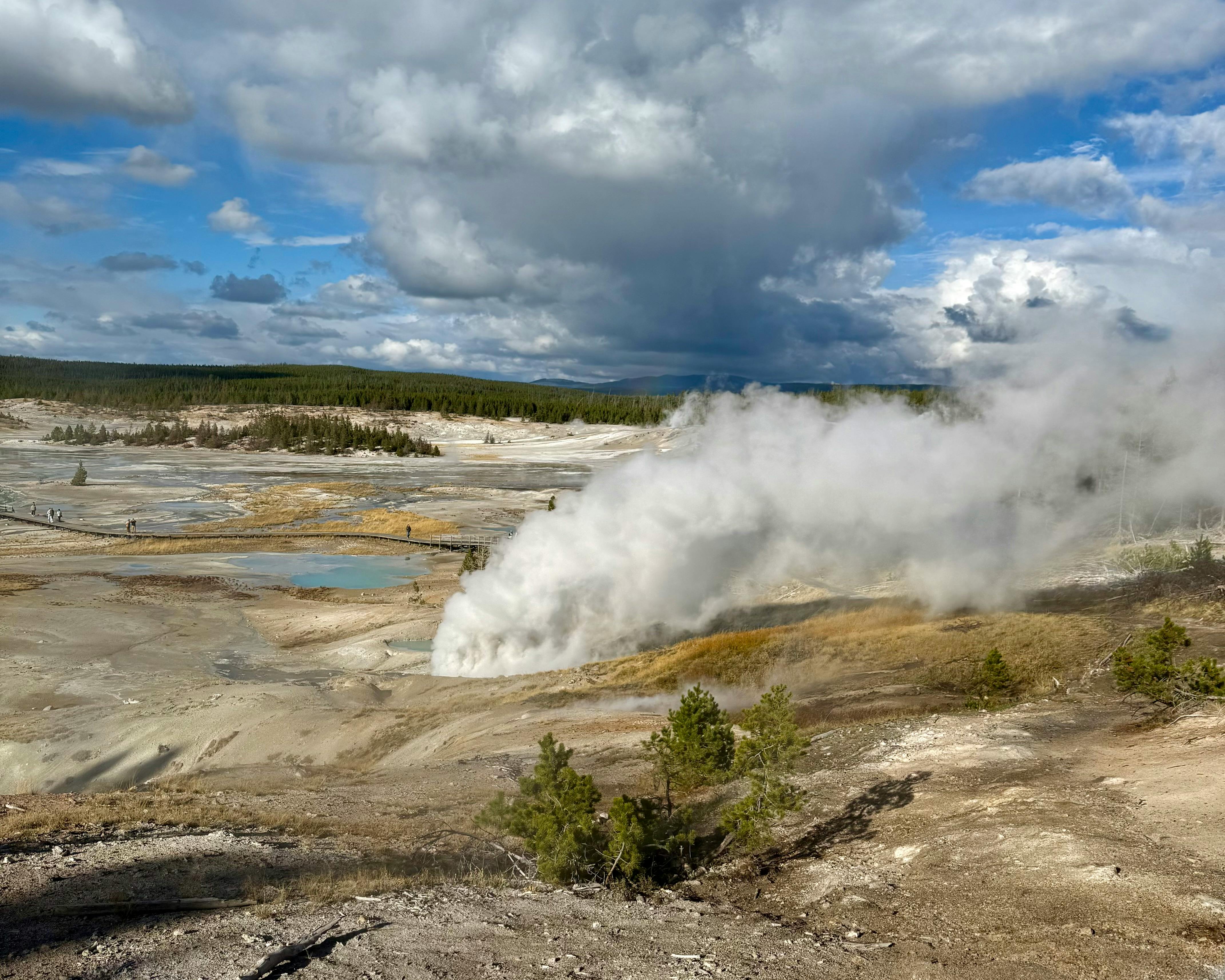 Steam Avatar Photos, Download The BEST Free Steam Avatar Stock Photos ...