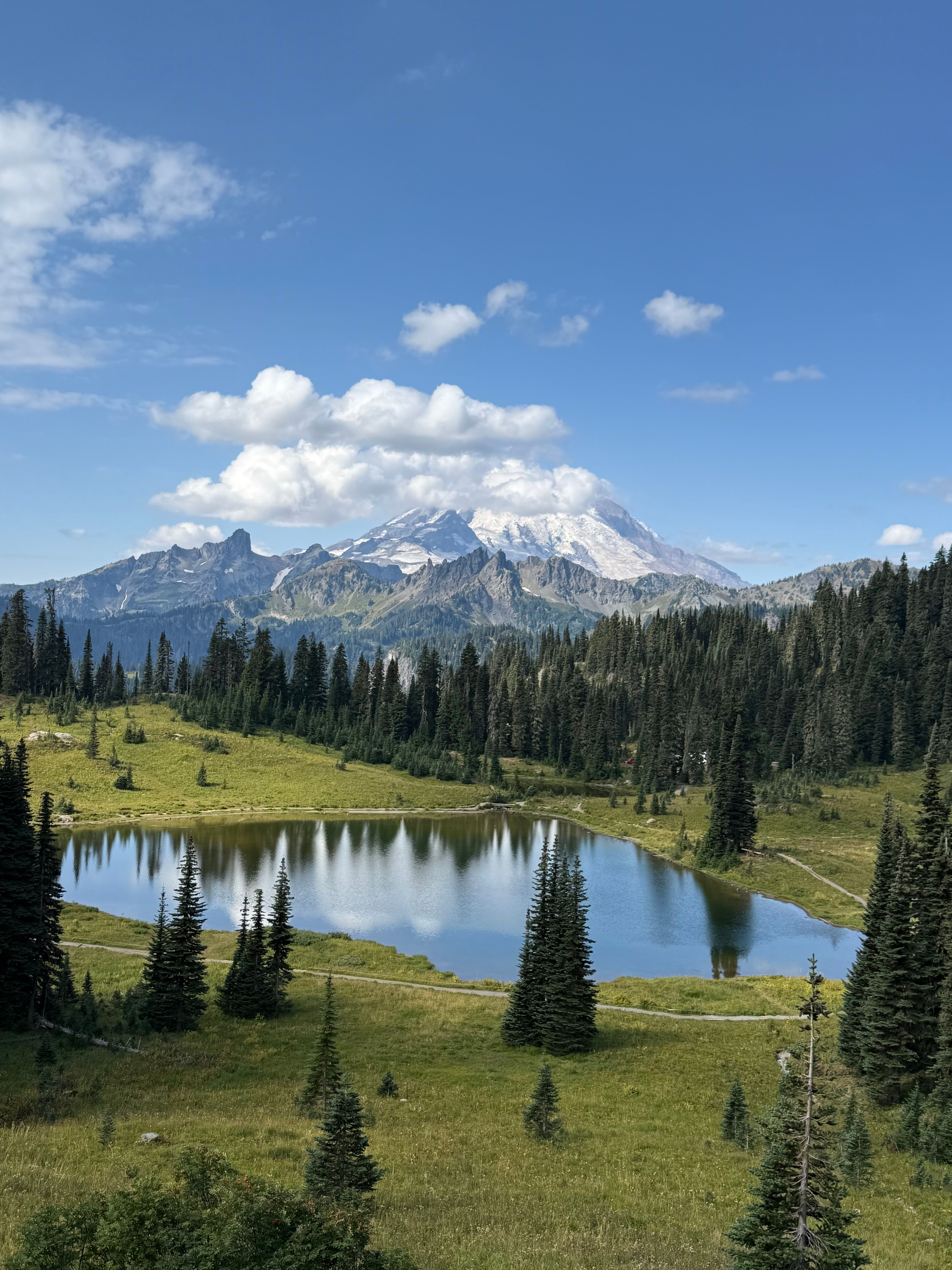1 000 000+ What-is-nature-s-ozempic banque d’images et photos libres de ...