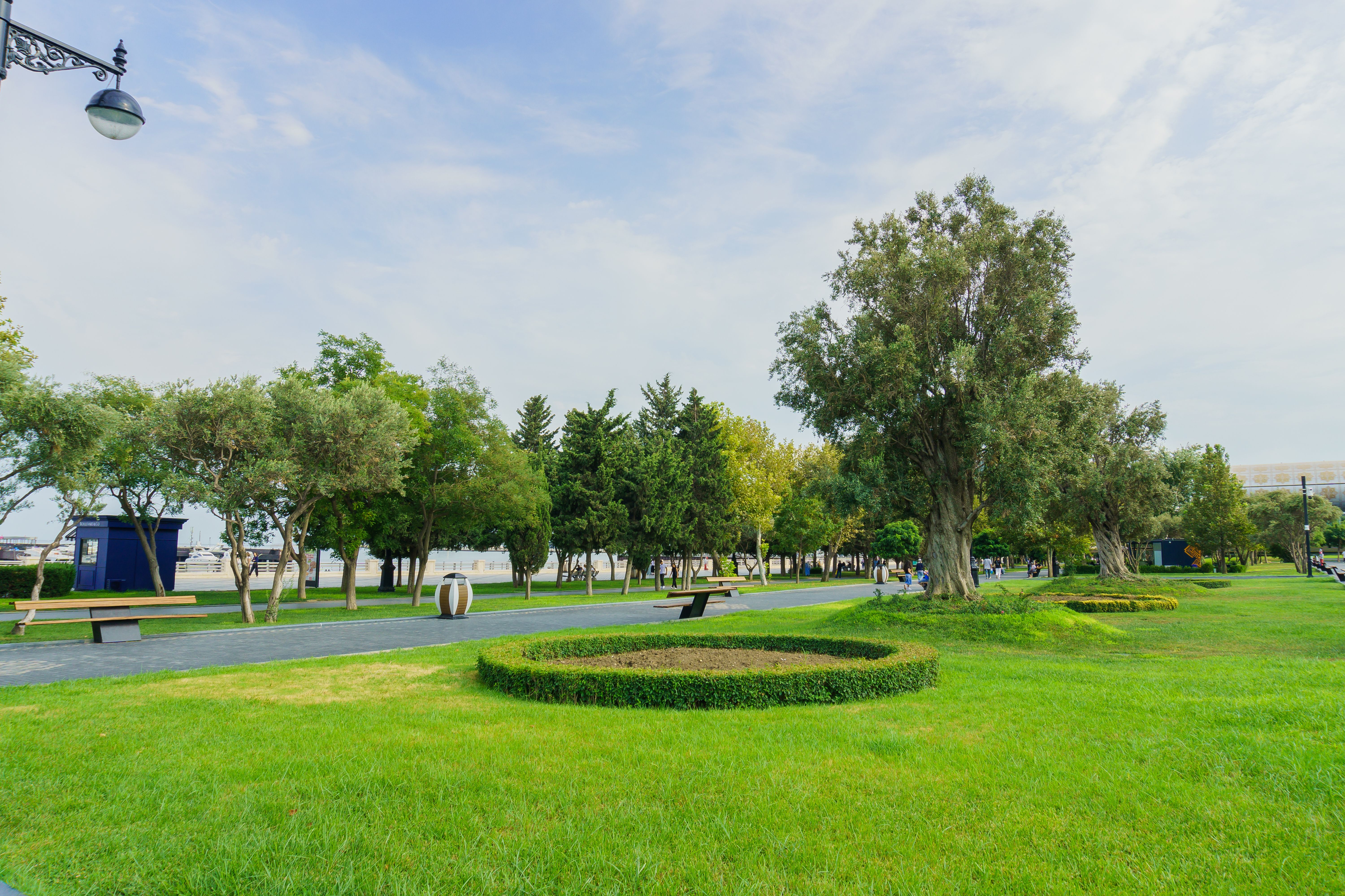 Scenic Park View with Lush Greenery in Baku · Free Stock Photo