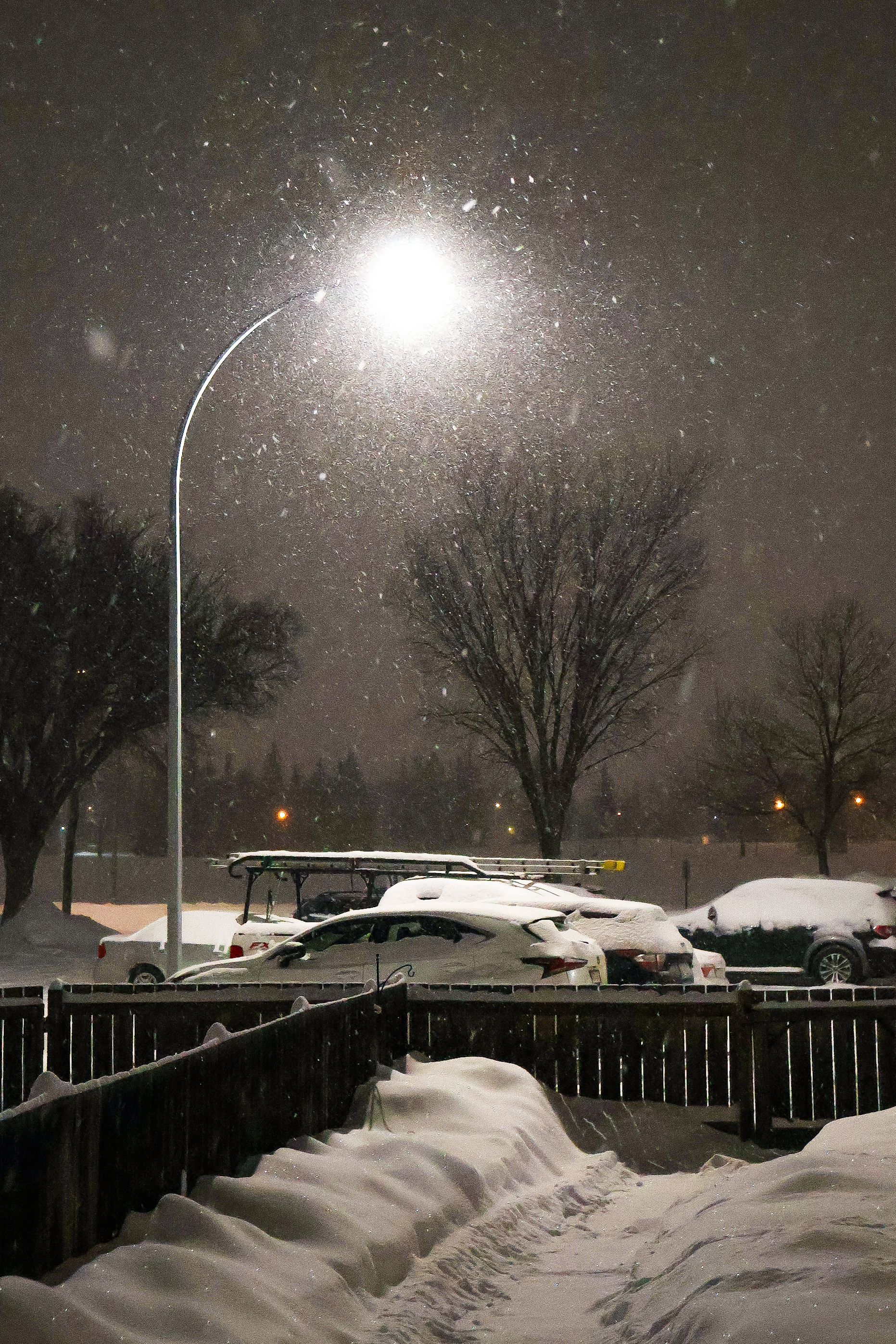 500.000+ Winter Scenes With Calendars Bilder und Fotos · Kostenlos ...