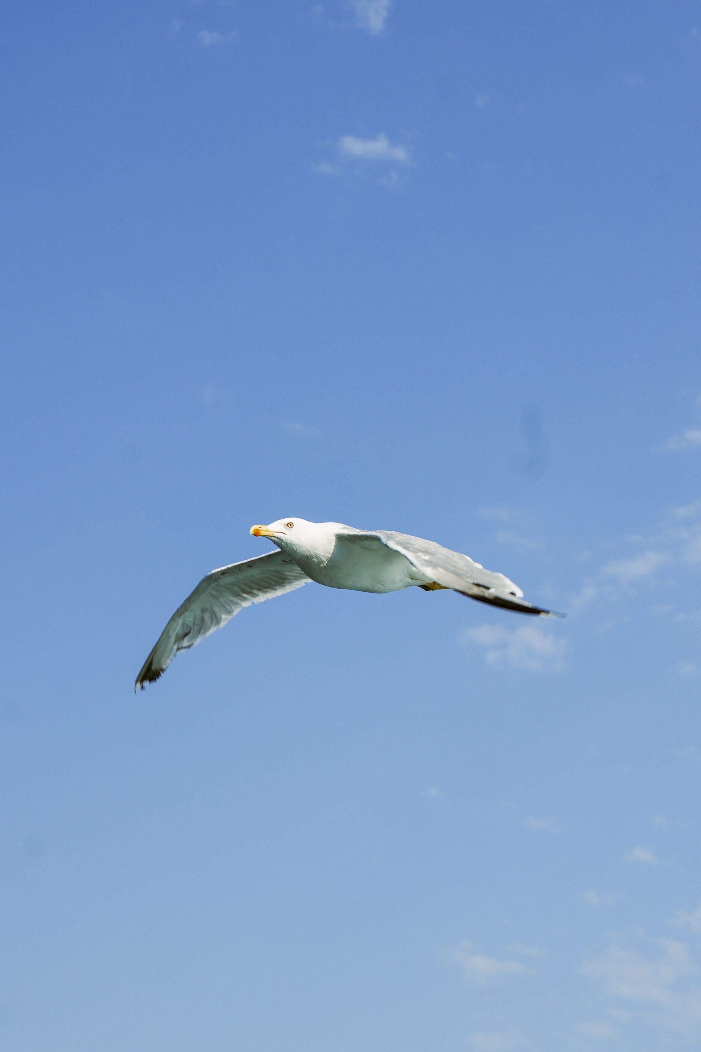 Free+Screensavers+Without+Downloading Photos, Download The BEST Free ...