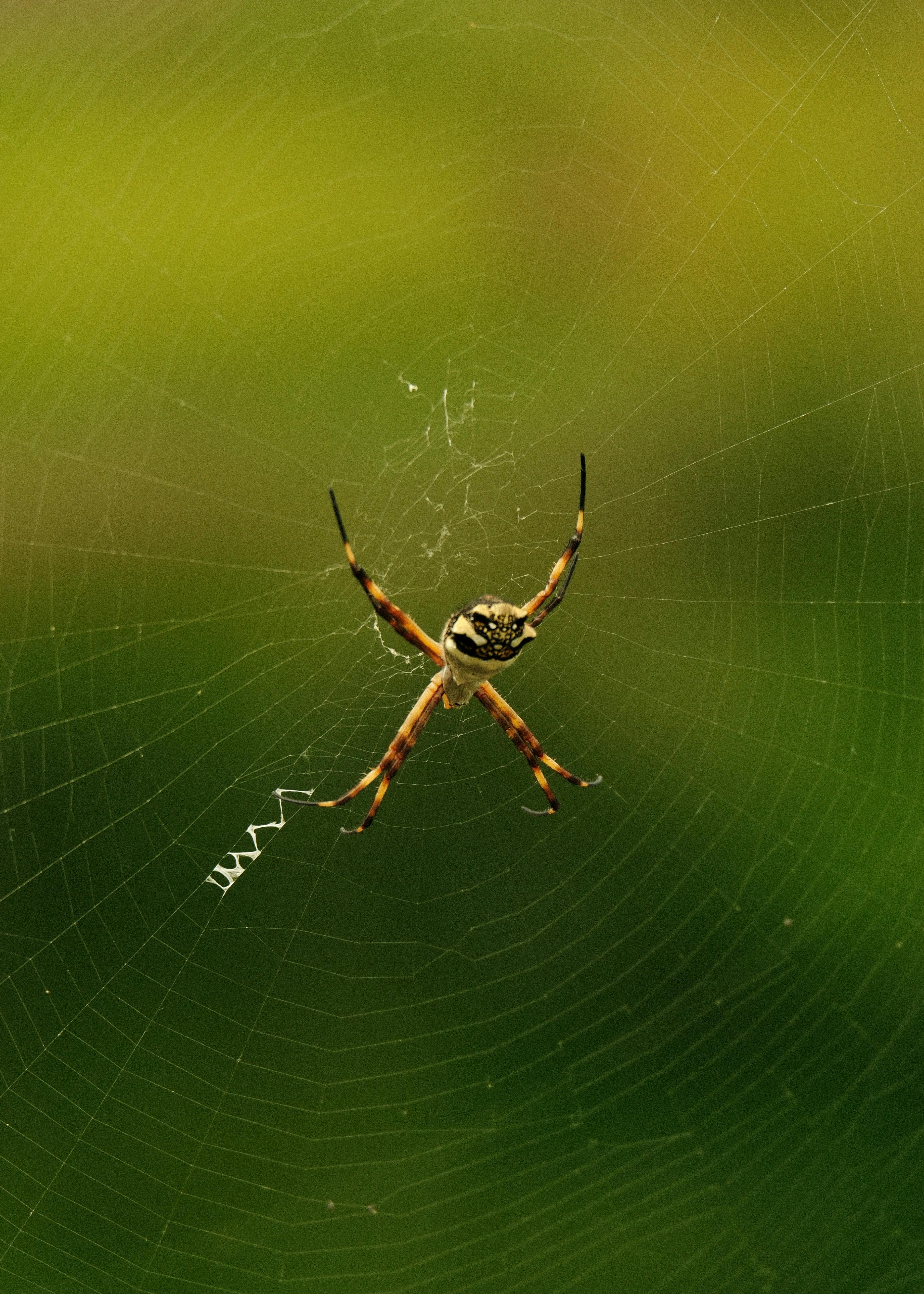 6.463+ Fotos y Imágenes de Google地圖+web Gratis · Banco de Fotos Gratis