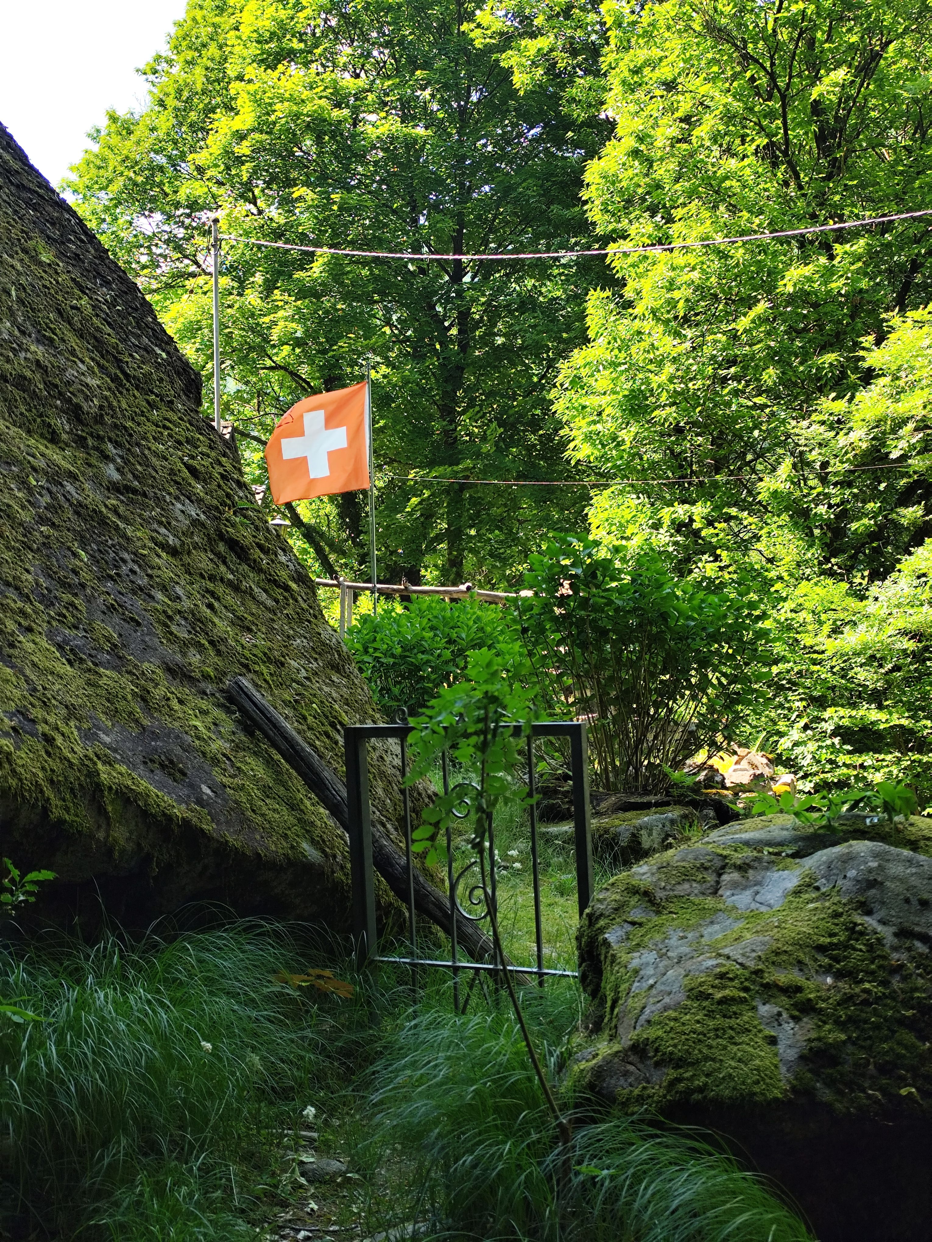 Swiss Flag in Lush Greenery with Rocky Pathway · Free Stock Photo