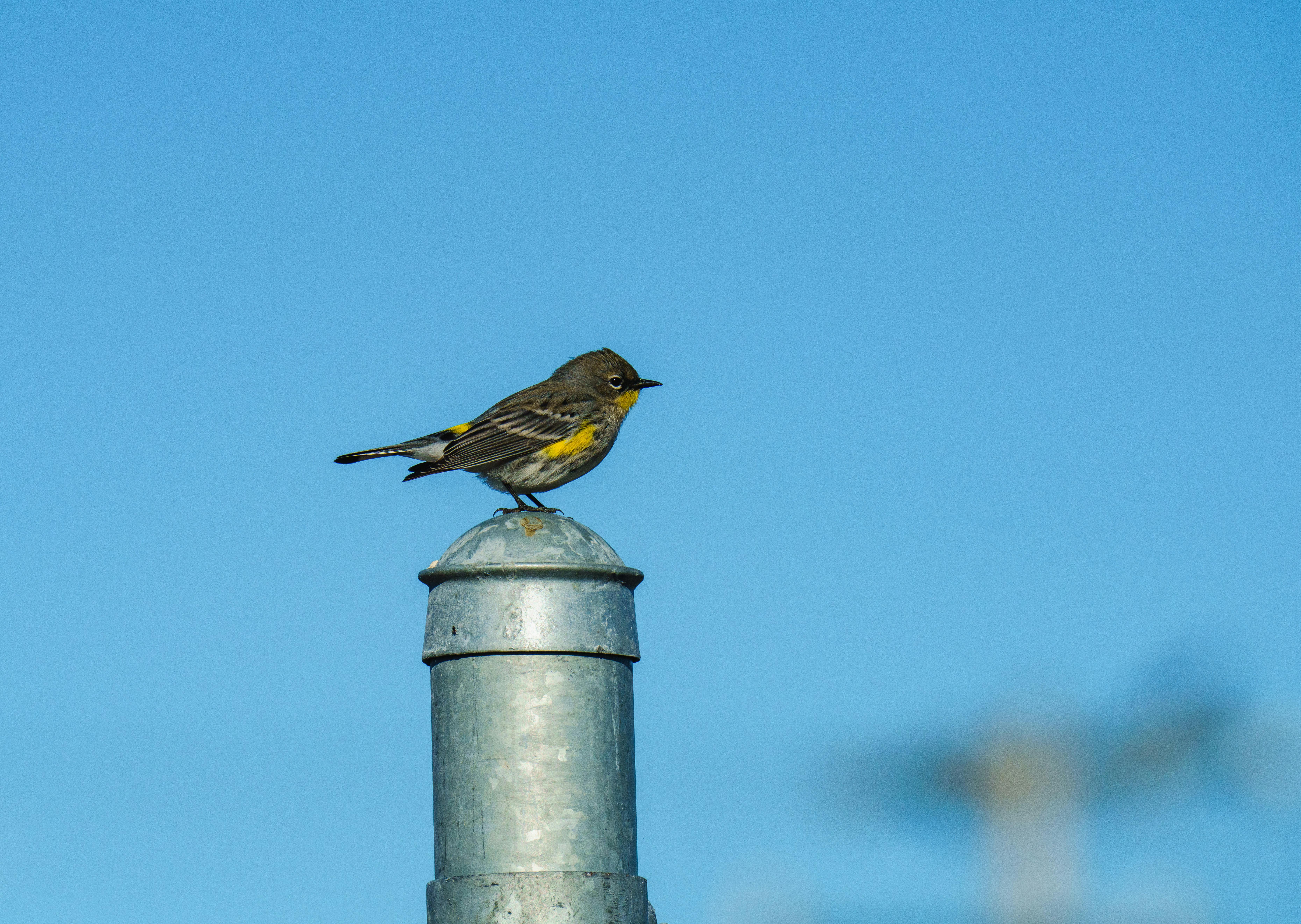 Looking+All+Over Photos, Download The BEST Free Looking+All+Over Stock ...