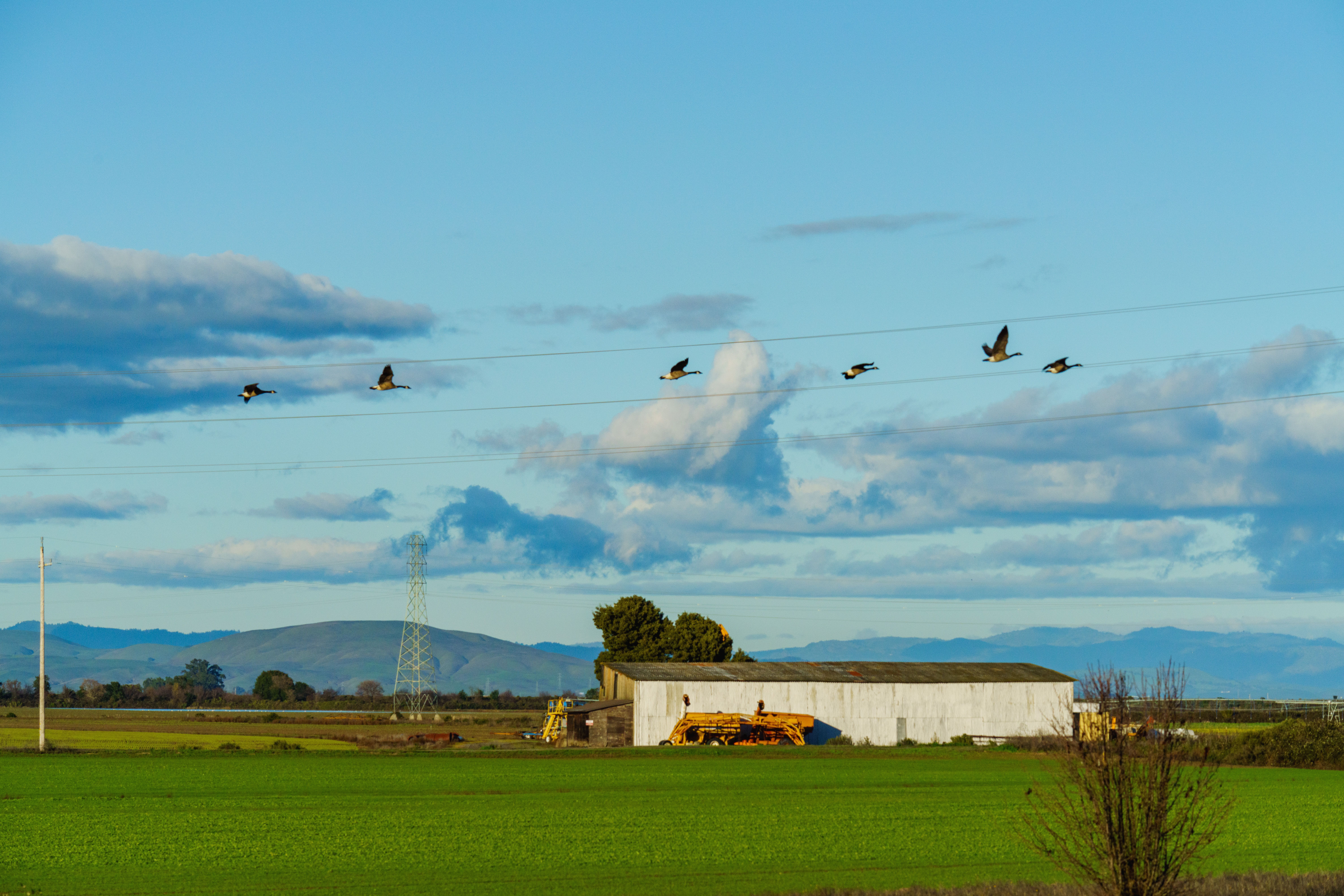 Migration Photos, Download The BEST Free Migration Stock Photos & HD Images