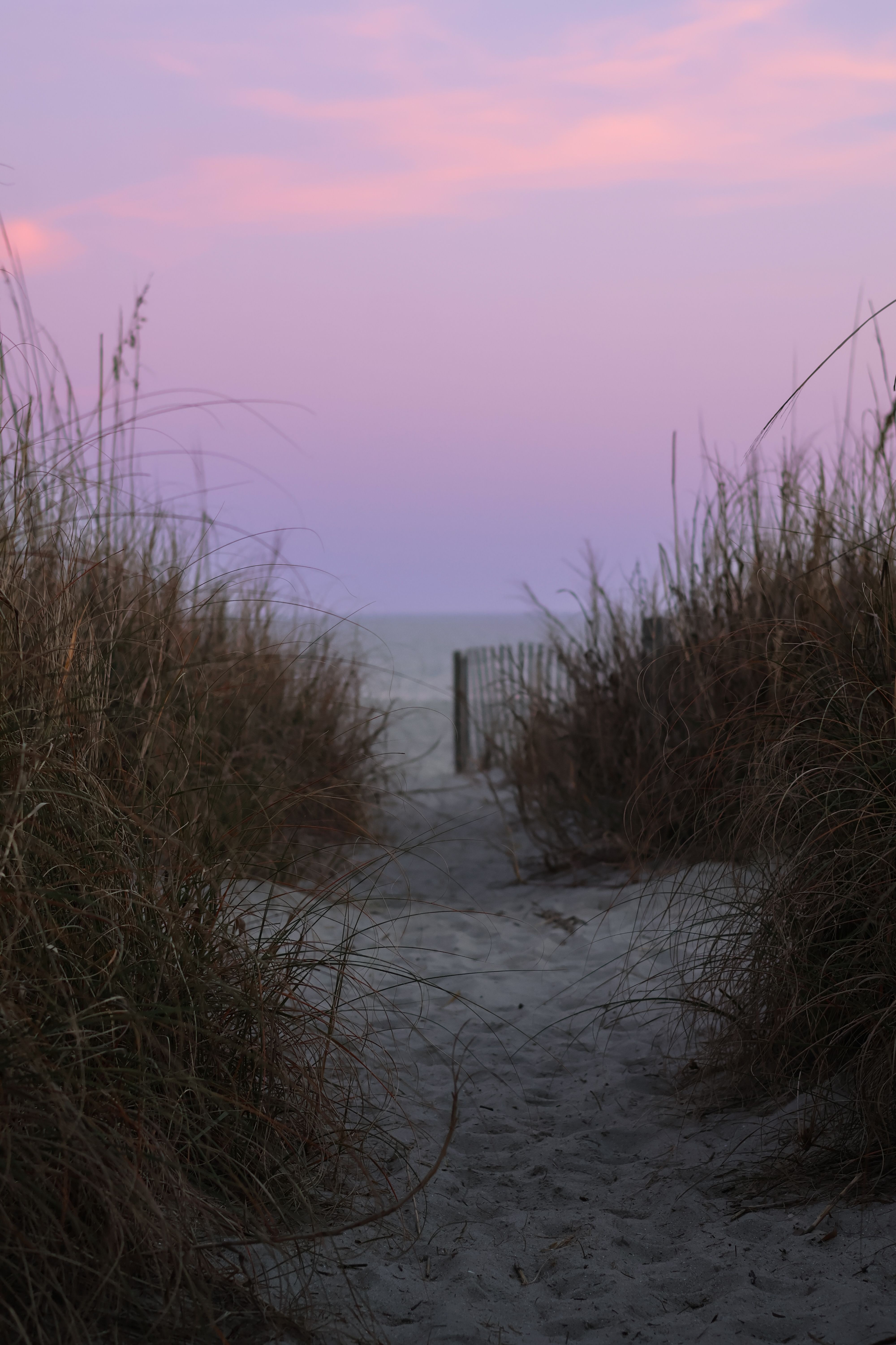 Serene Beach Pathway at Sunset · Free Stock Photo