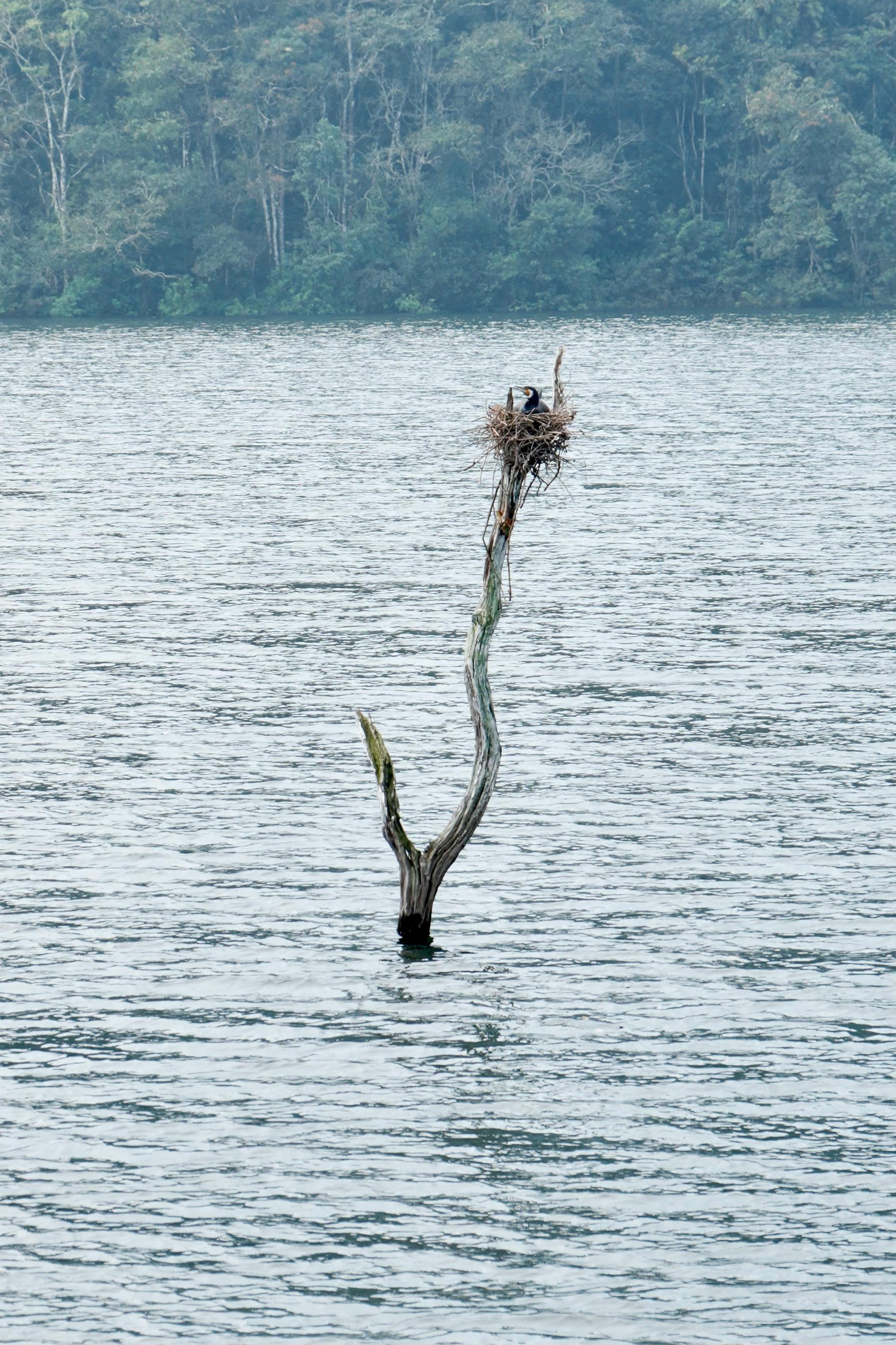 Son+Url+Site Photos, Download The BEST Free Son+Url+Site Stock Photos ...