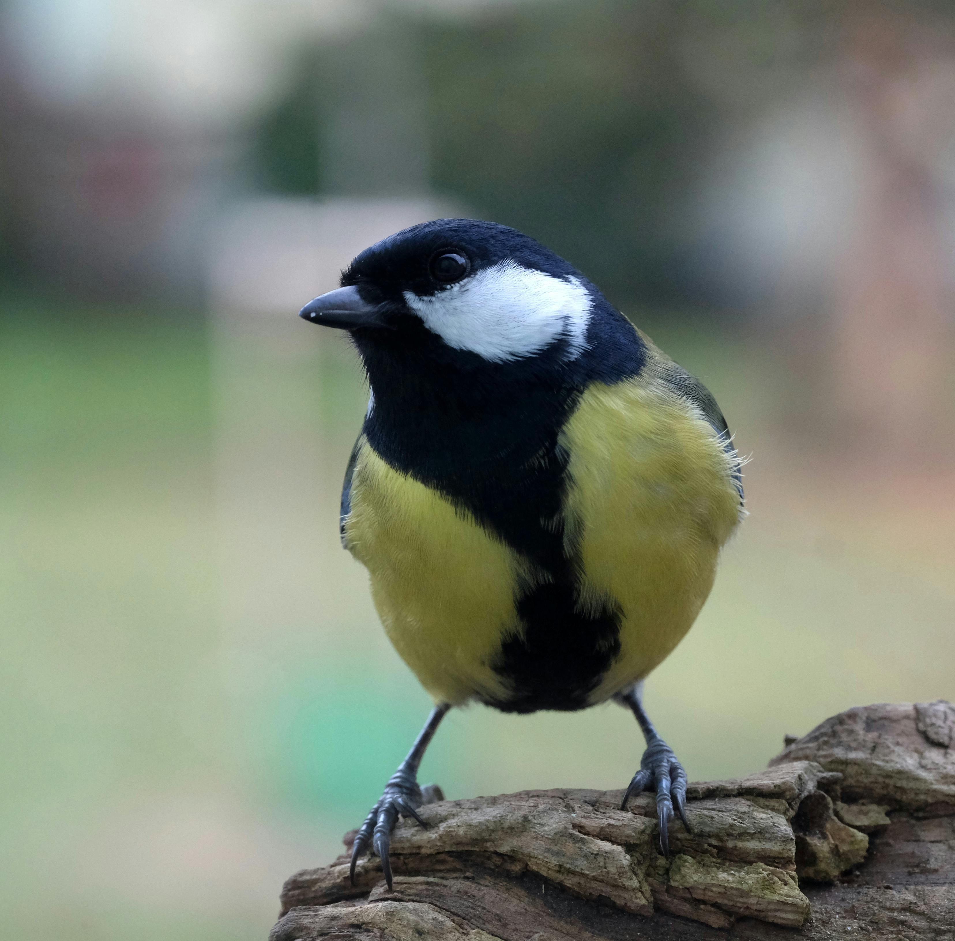 Short+Video+Live Photos, Download The BEST Free Short+Video+Live Stock ...