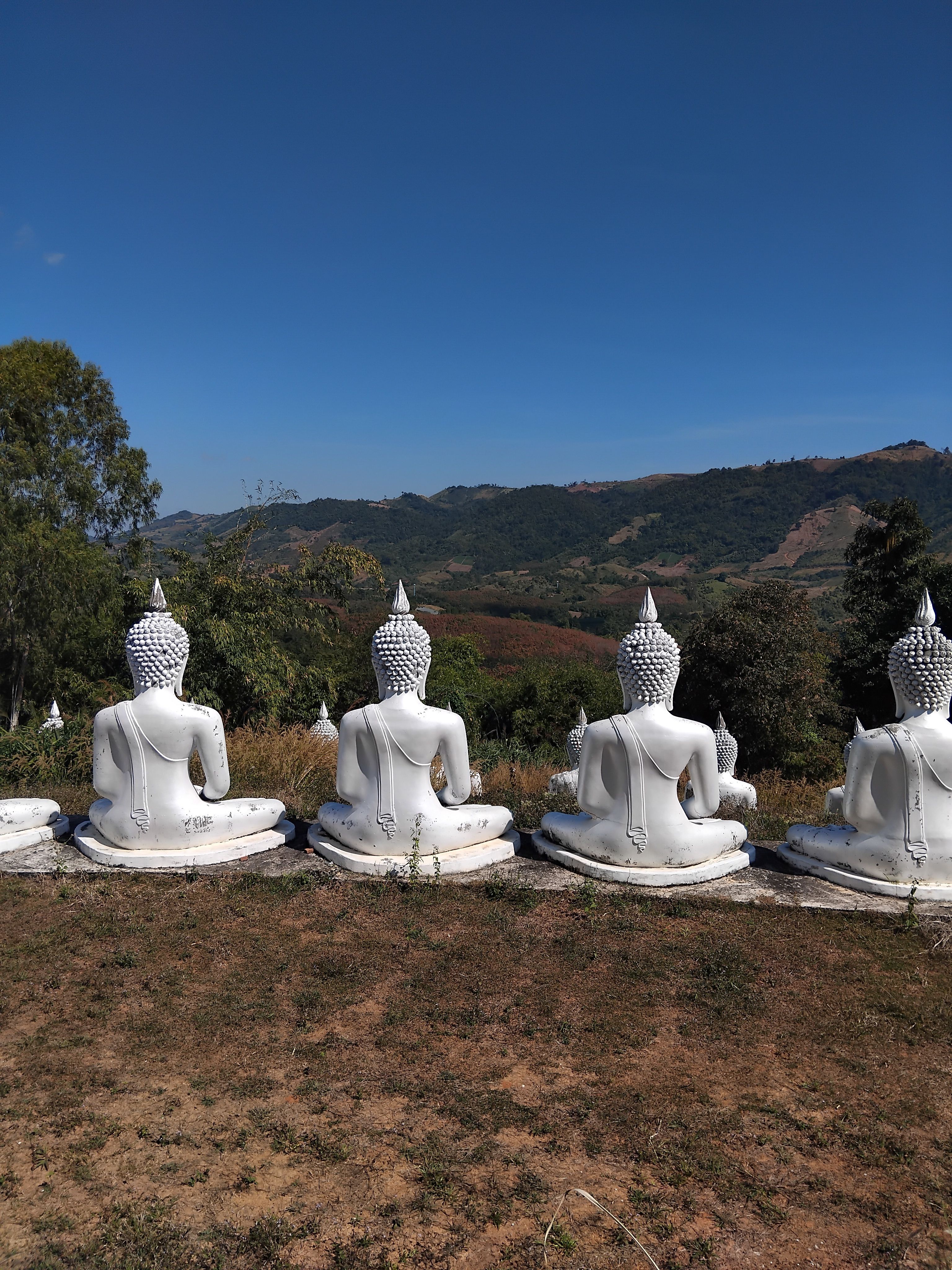 Back View of White Buddha Statues Outdoors · Free Stock Photo