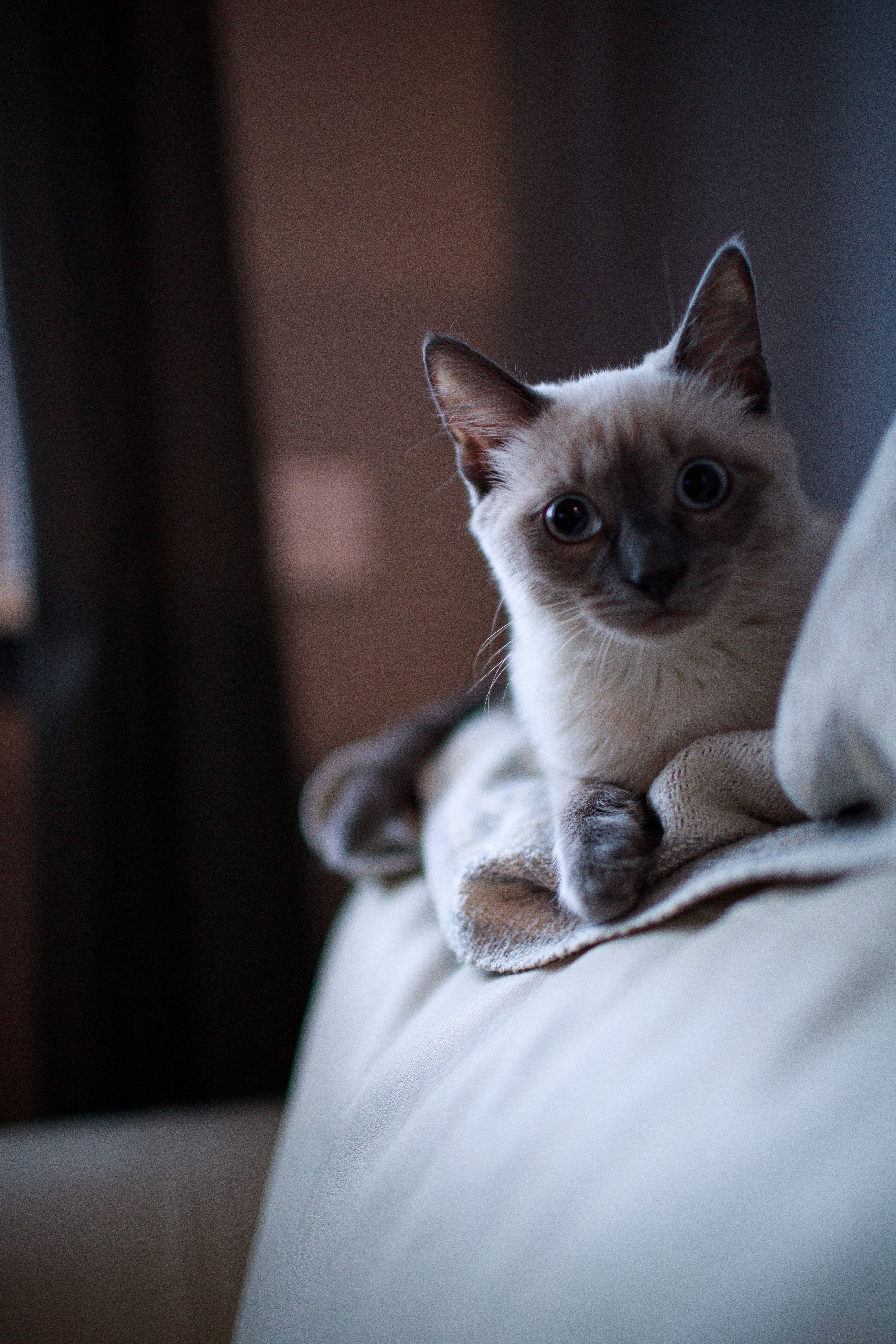 Lazy Workday Photos, Download The BEST Free Lazy Workday Stock Photos ...