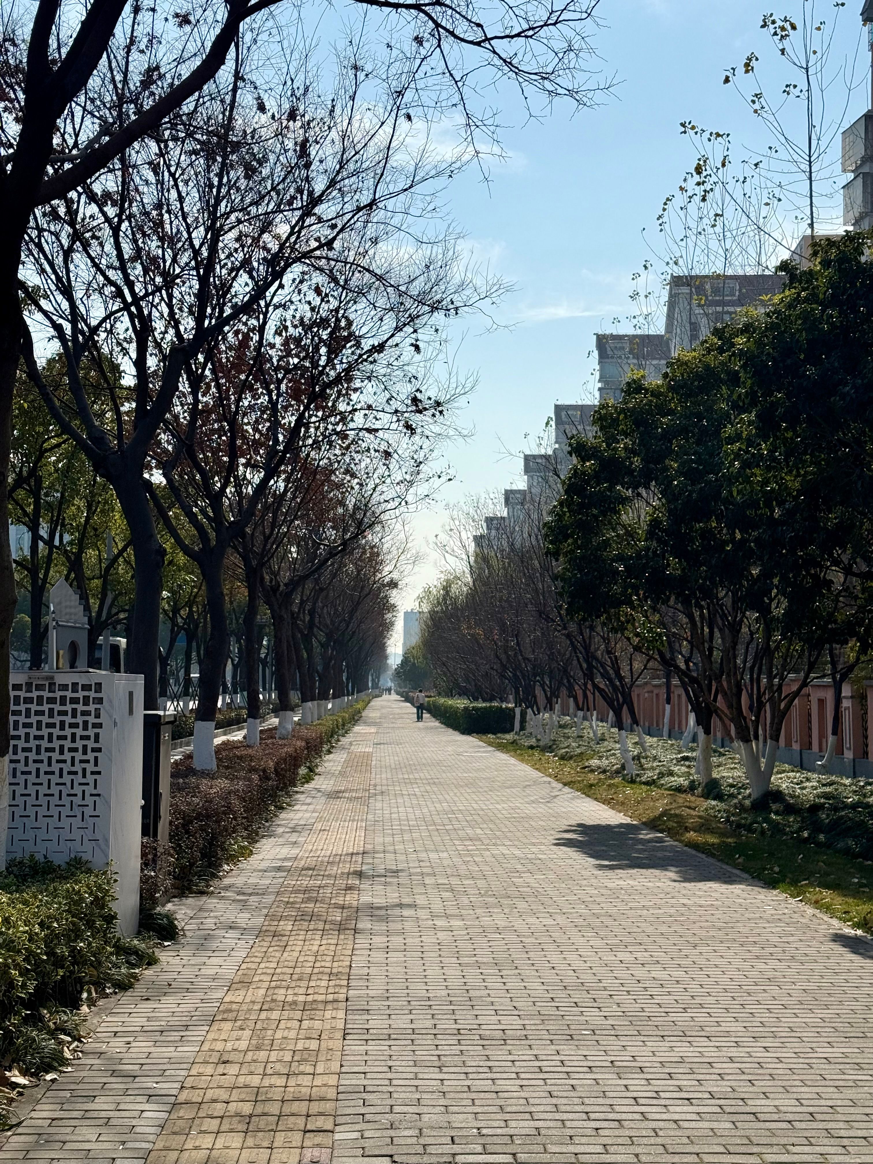 Sunny Pathway in Shanghai Residential Area · Free Stock Photo