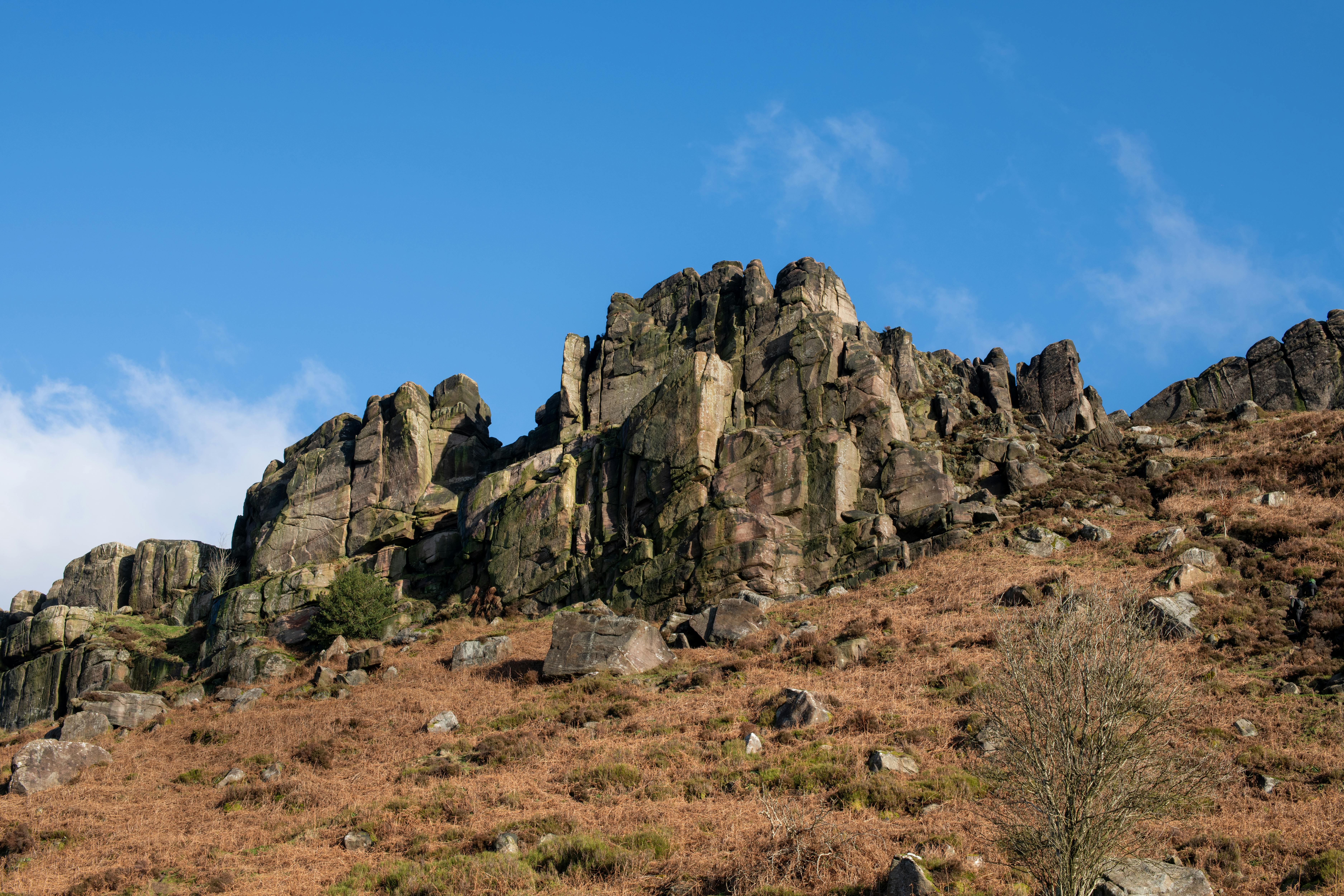 2.000+ beste Vk+黄埔挠脚 foto's · 100% gratis downloaden · Pexels-stockfoto's