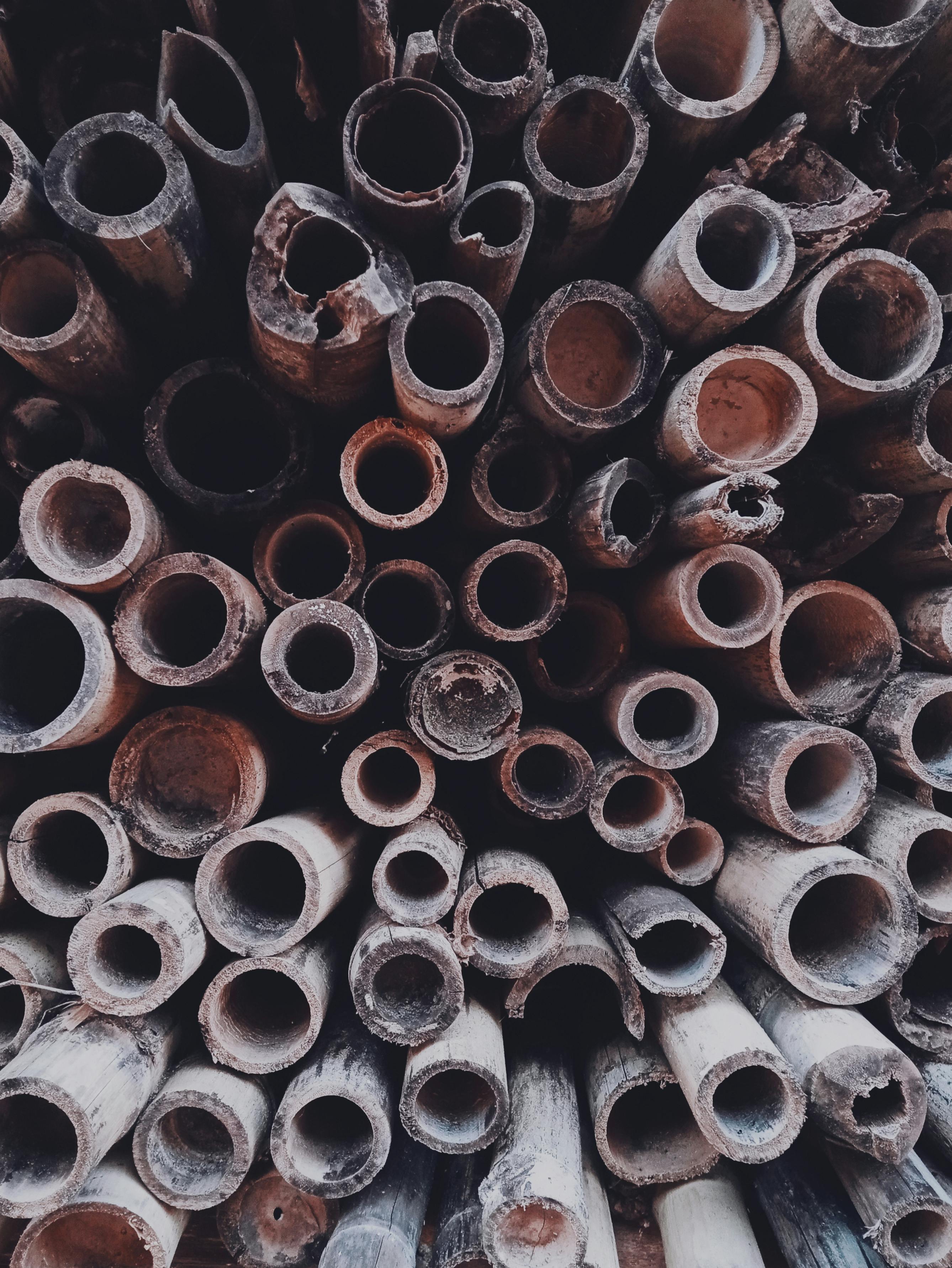 Canning+Horseradish+From+Scratch Photos, Download The BEST Free Canning ...