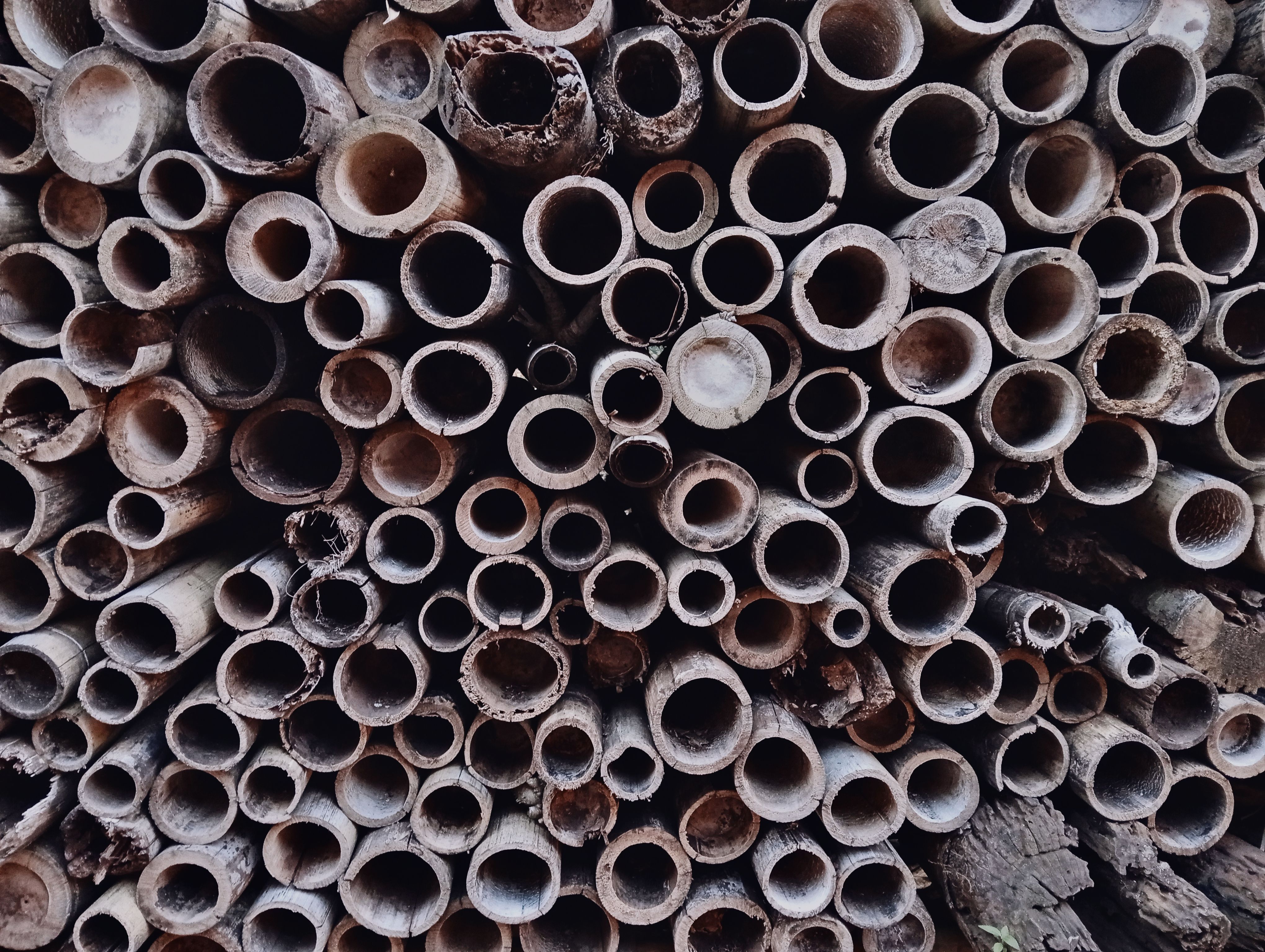 60.000+ Foto Delo Wallpaper Terbaik · Unduh Gratis 100% · Foto Stok Pexels