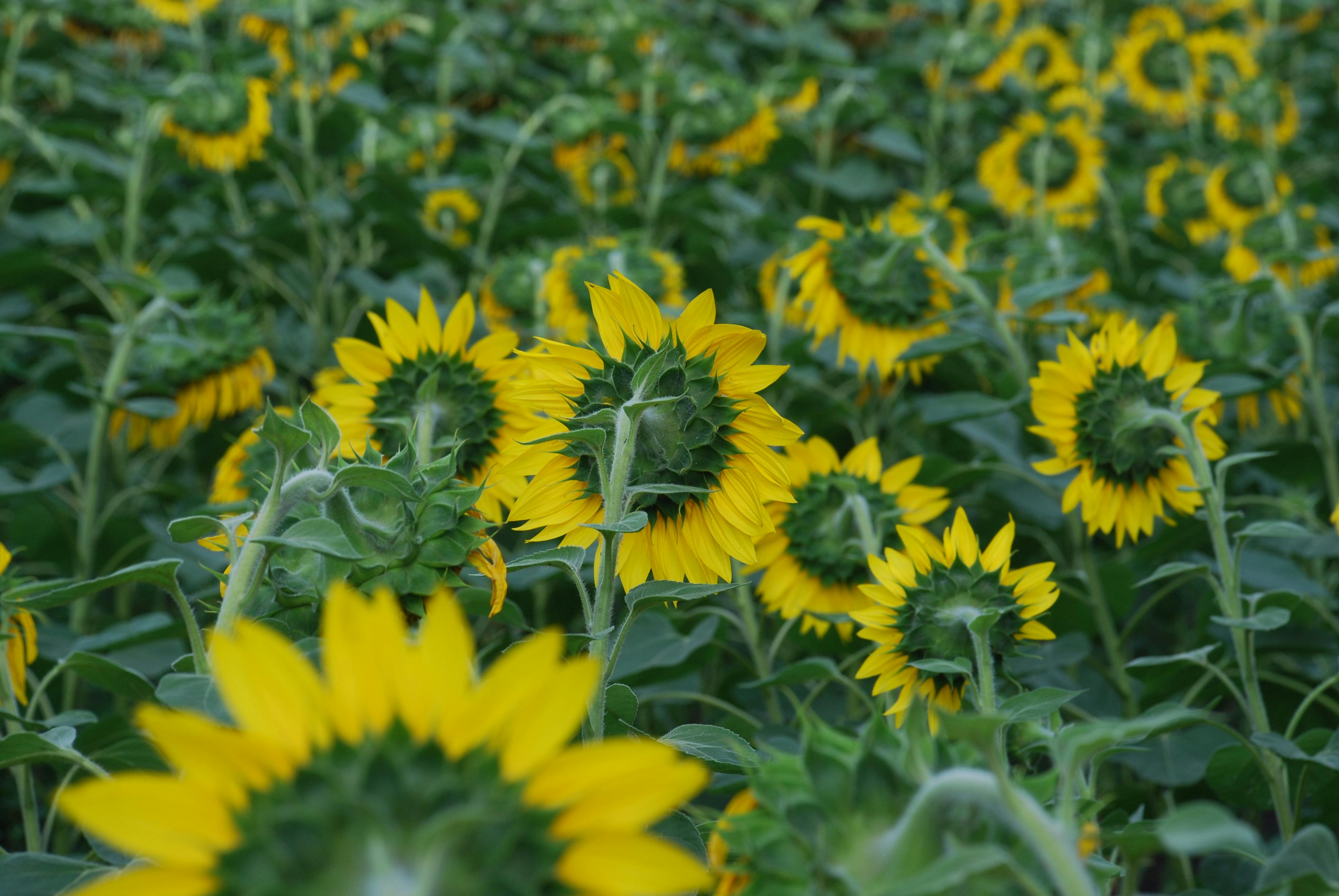 Full+Frontal+Vigina Photos, Download The BEST Free Full+Frontal+Vigina ...