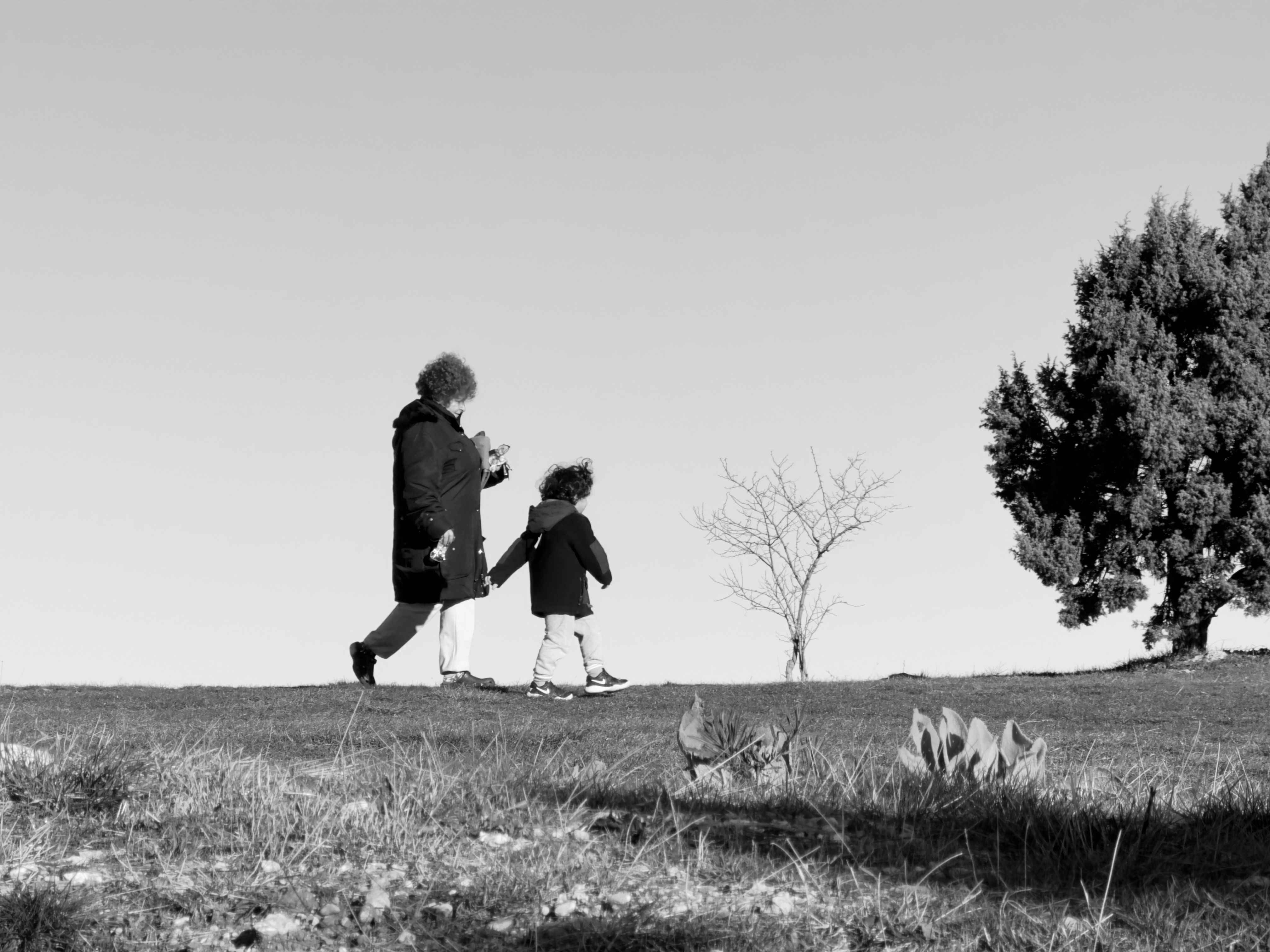 Black and White Stroll in Greek Countryside · Free Stock Photo