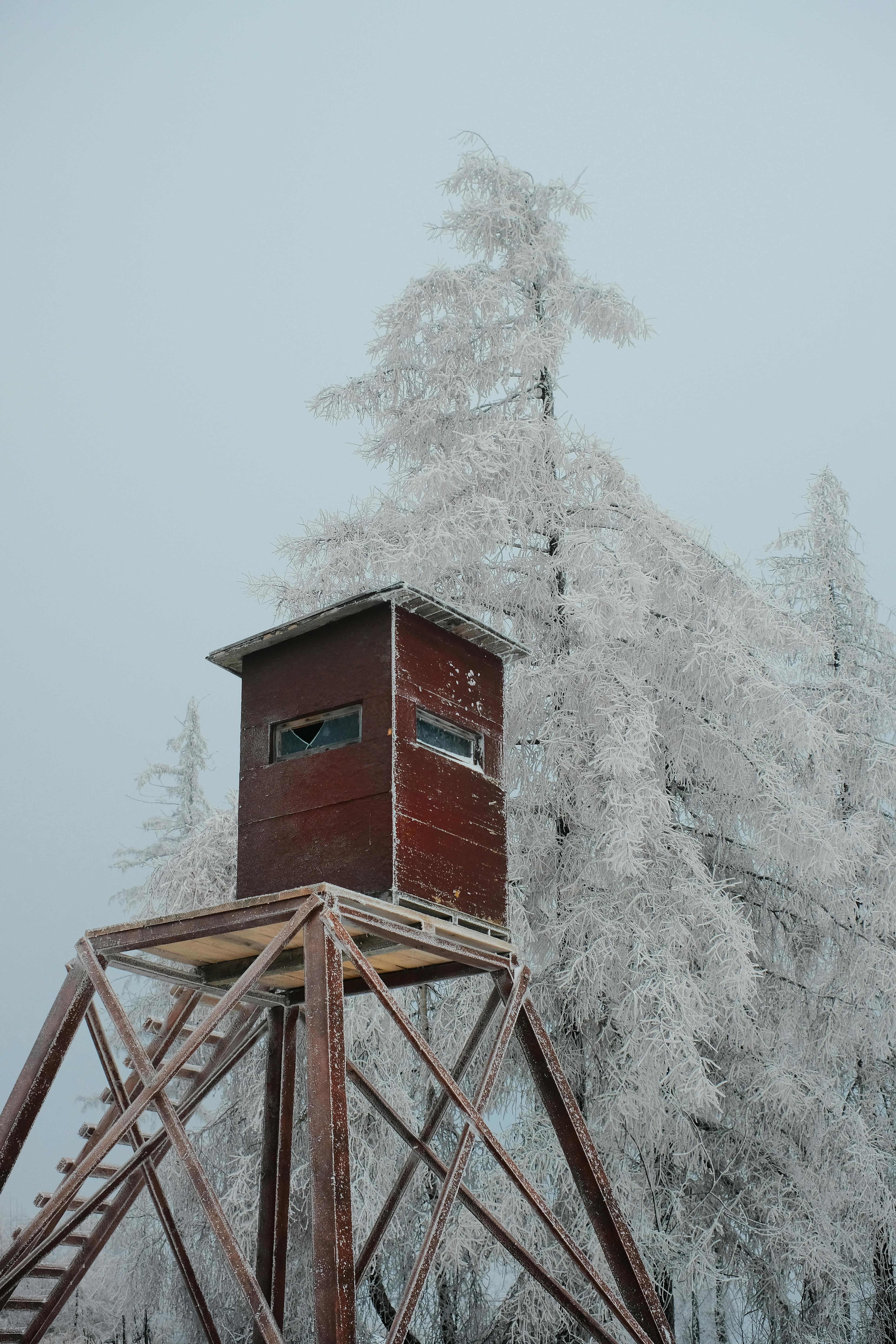 100.000+ Pond+inlet+weather Bilder und Fotos · Kostenlos Downloaden ...