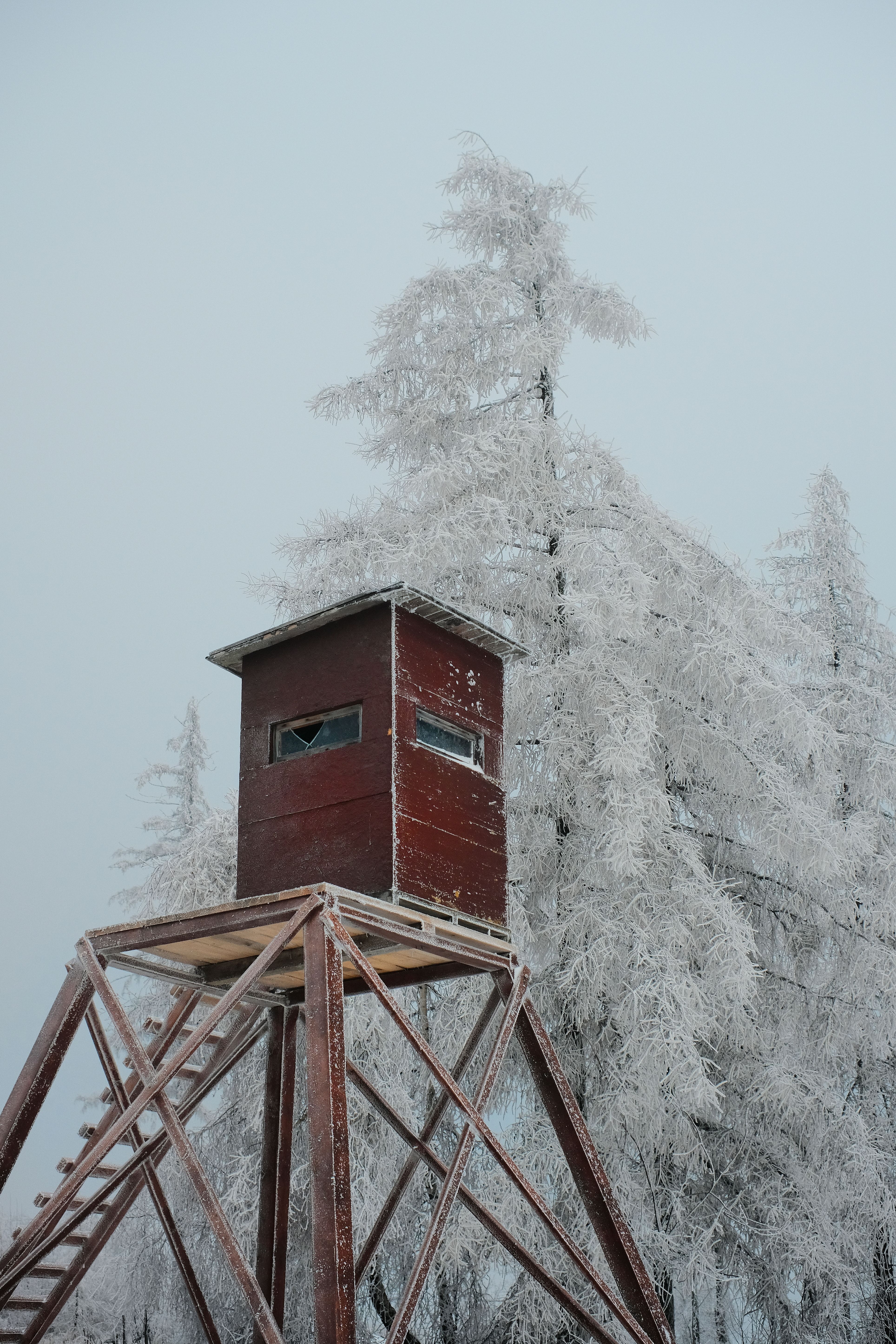 Lookout Post Photos, Download The BEST Free Lookout Post Stock Photos ...