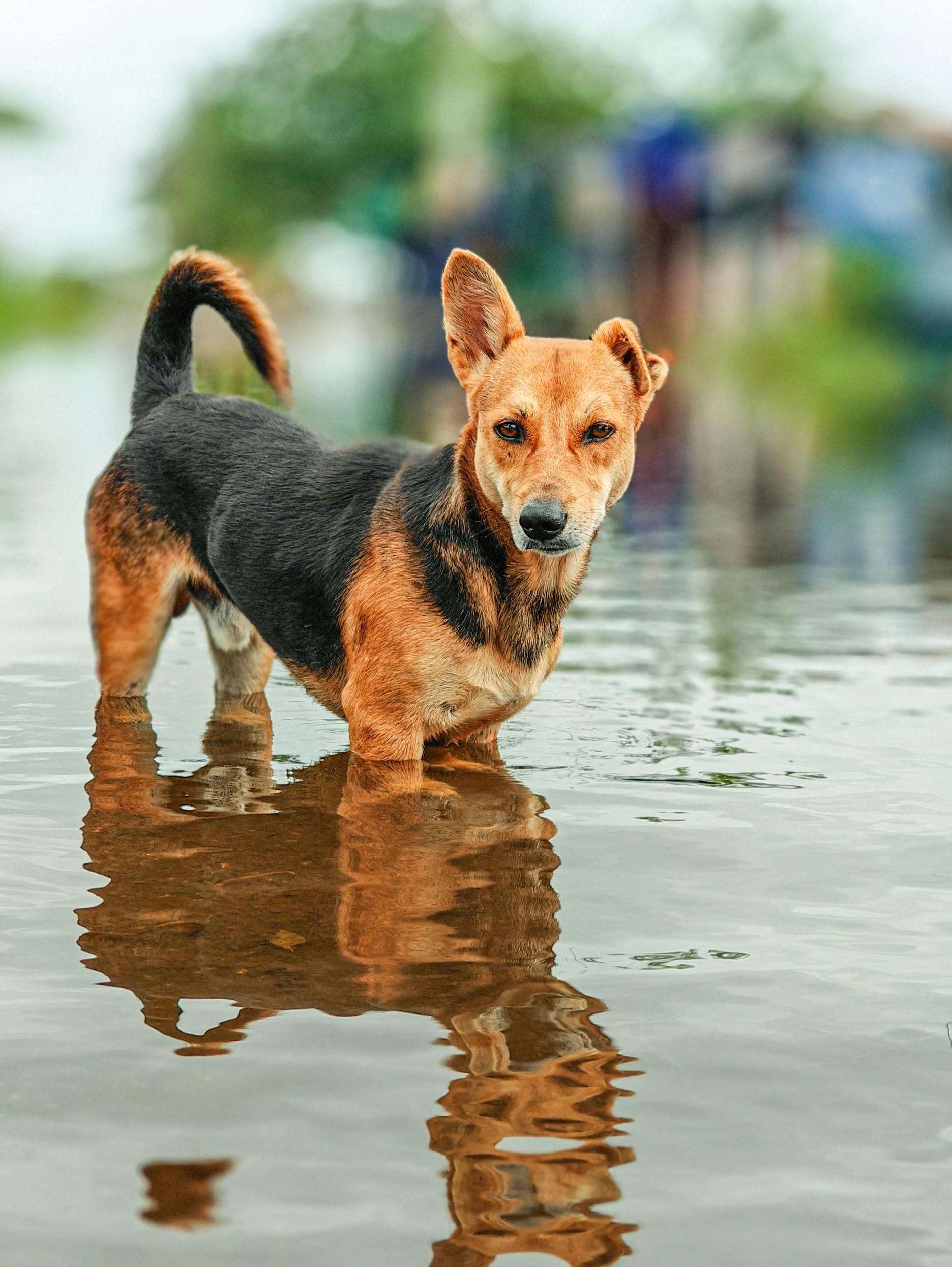 Sarkari Naukri Wallpapers Photos, Download The BEST Free Sarkari Naukri ...