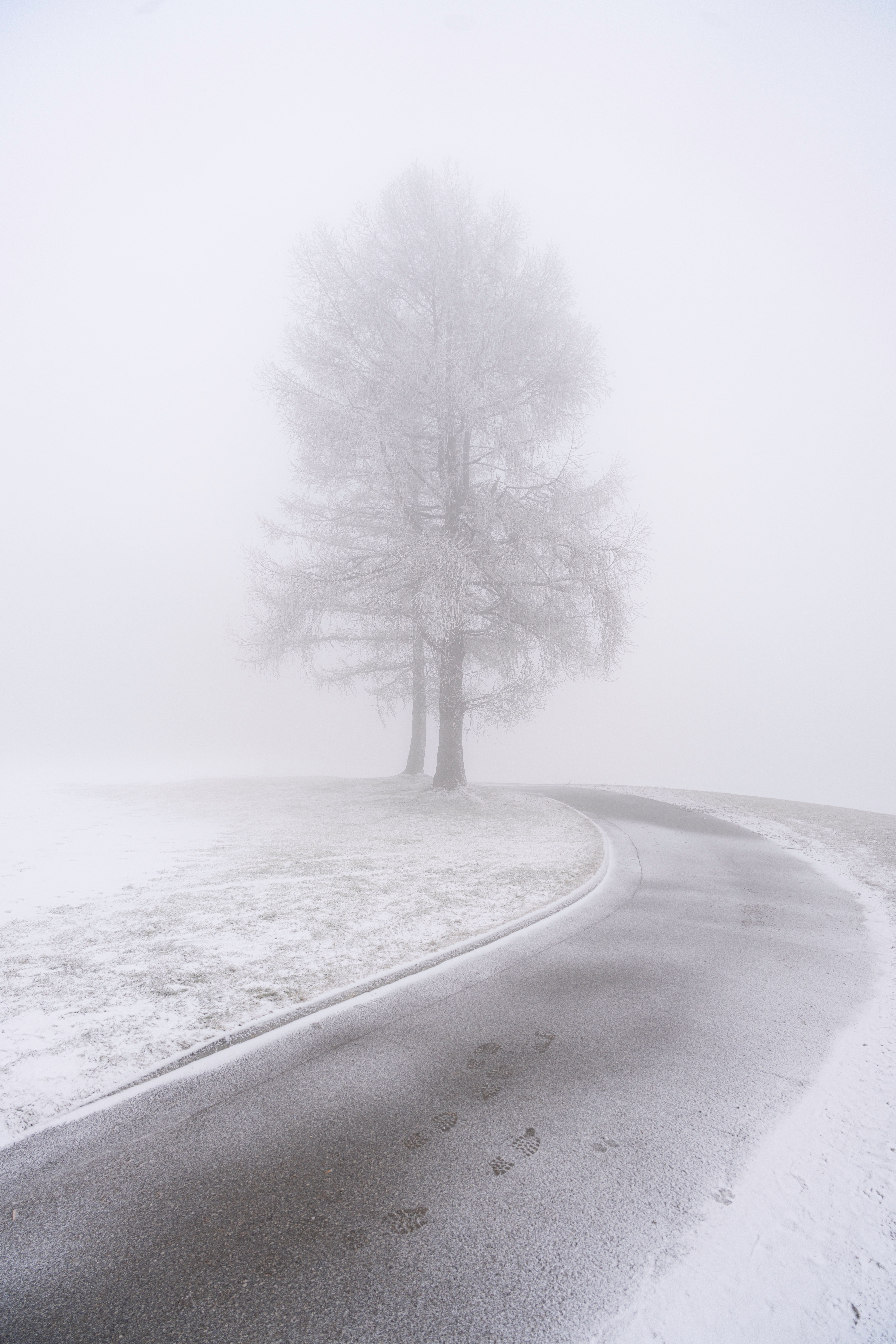 Winter Night at Snow-Covered Stamford Park · Free Stock Photo