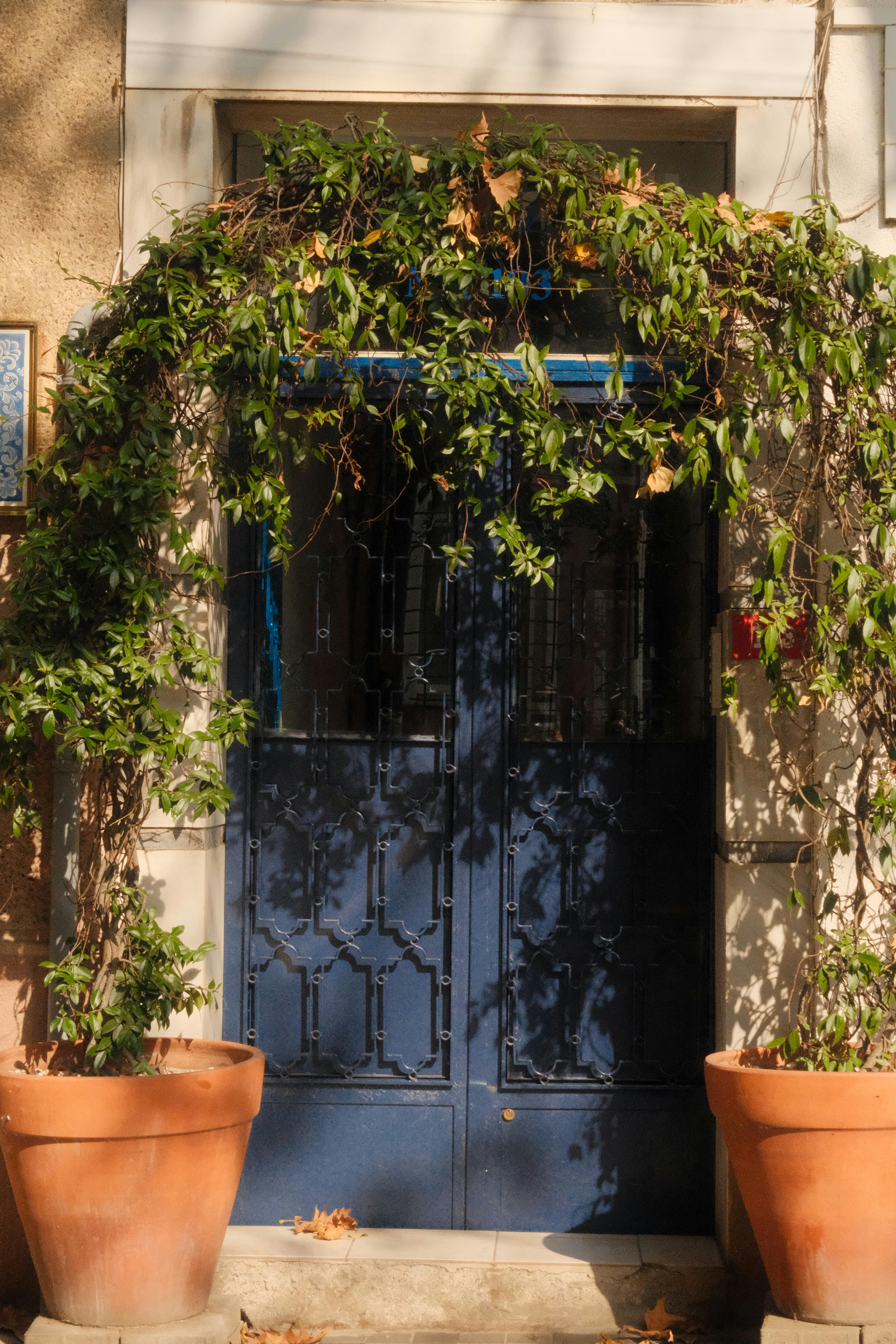 Voxtek+Wallpaper Photos, Download The BEST Free Voxtek+Wallpaper Stock ...