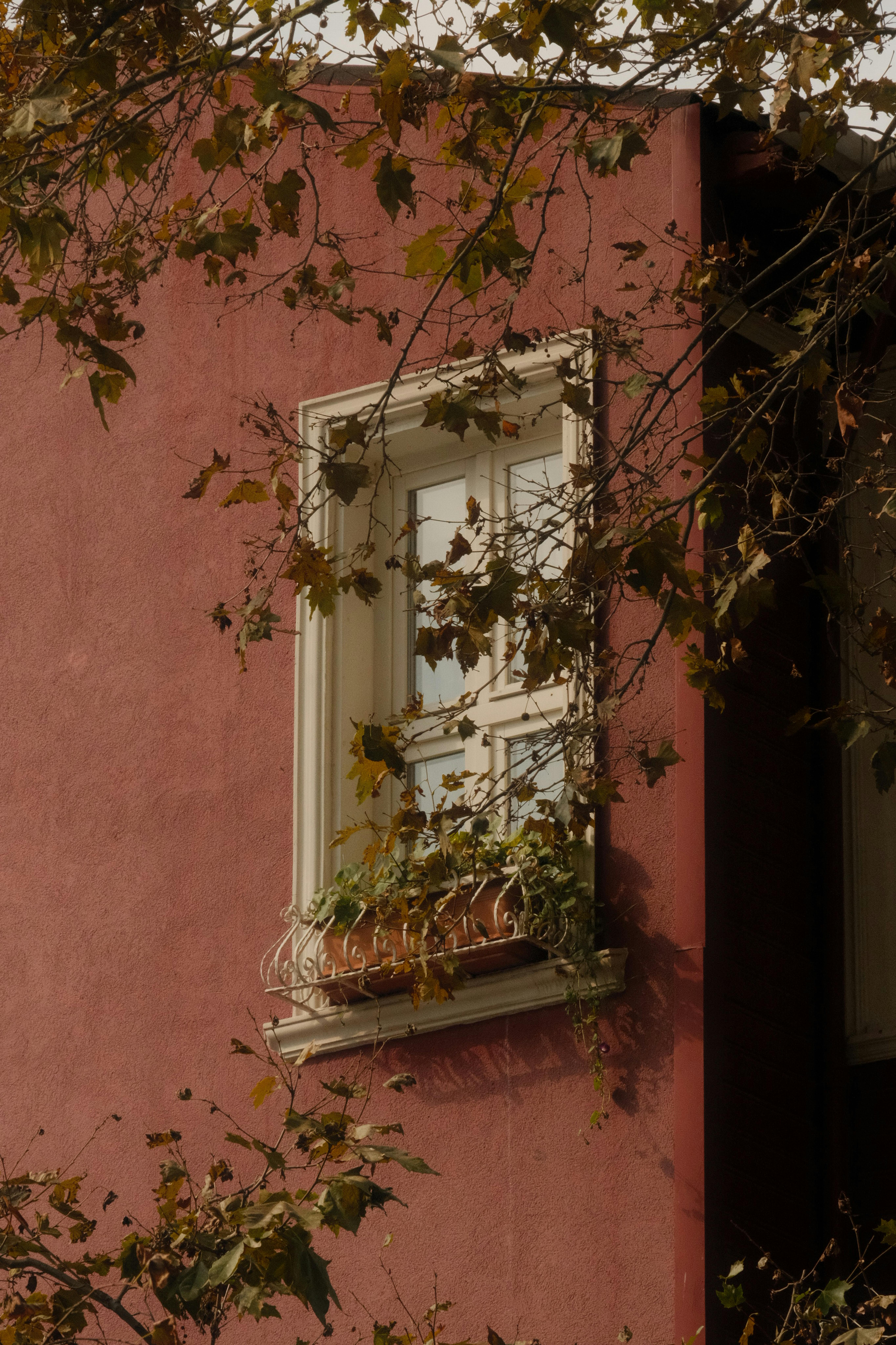 Voxtek+Wallpaper Photos, Download The BEST Free Voxtek+Wallpaper Stock ...