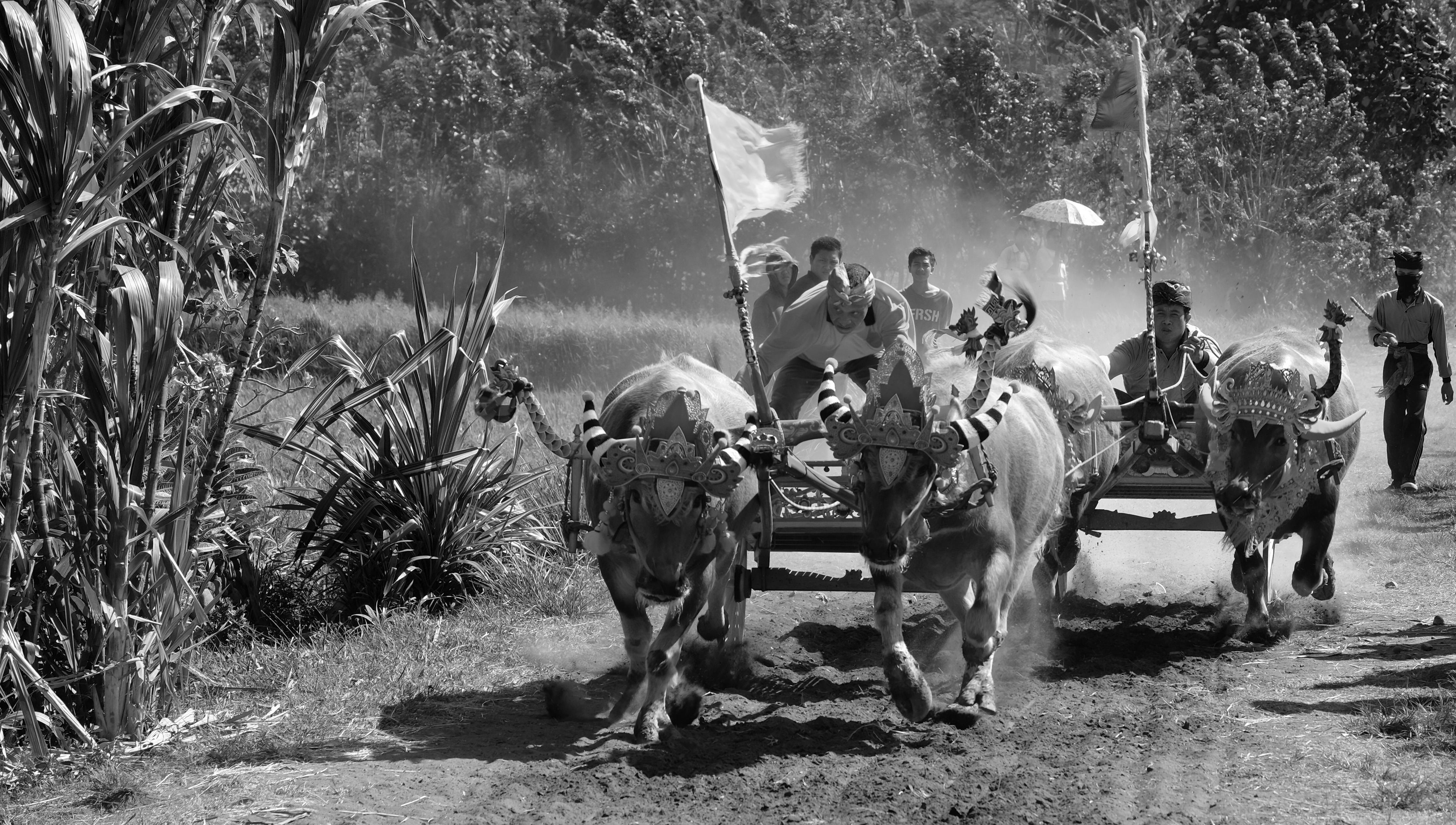 Bokep+Hamil+Indonesia+ Photos, Download The BEST Free Bokep+Hamil+Indonesia+ Stock Photos & HD ...