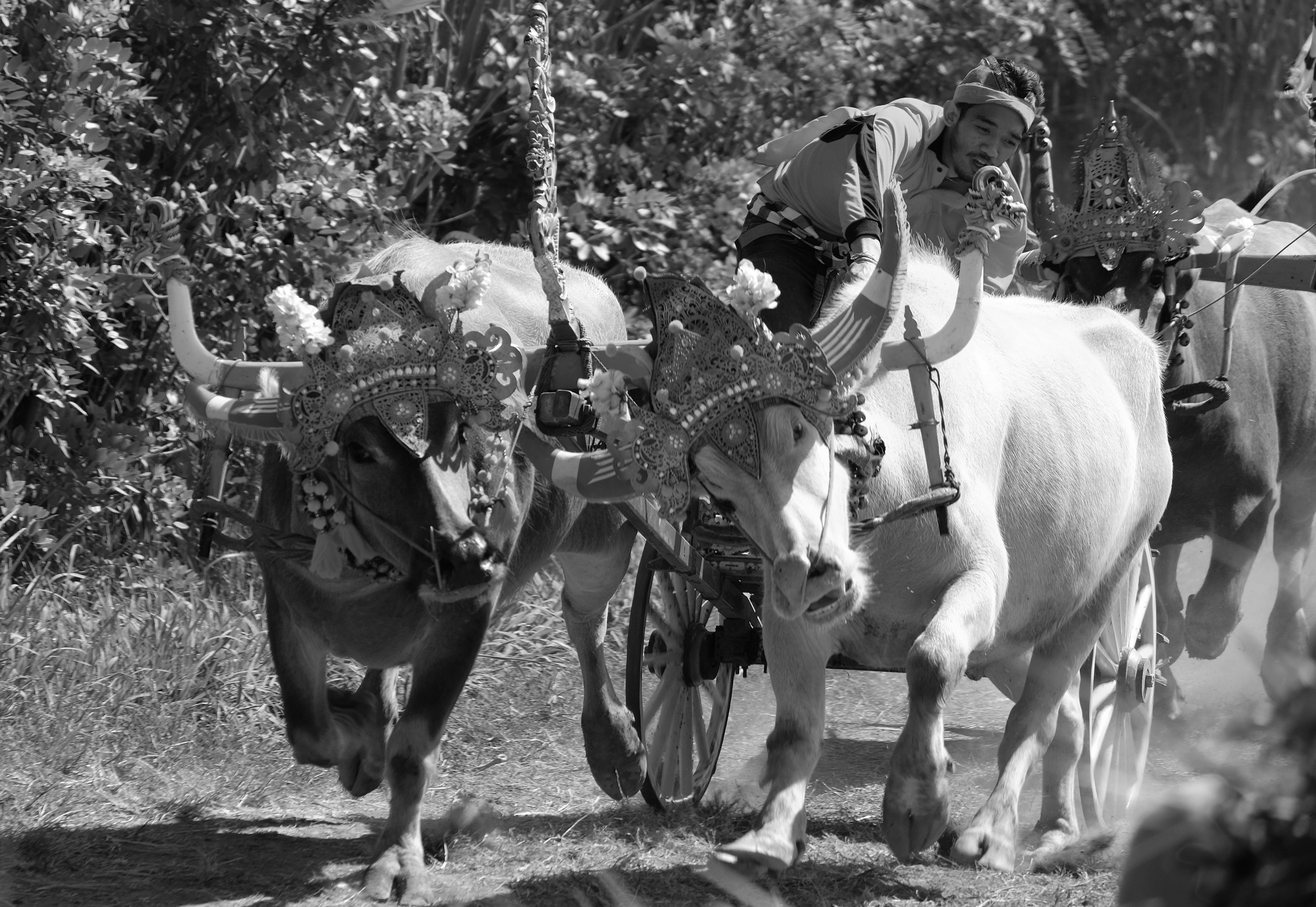 Bokep+Terbaru+Indonesia+ Photos, Download The BEST Free Bokep+Terbaru+Indonesia+ Stock Photos ...