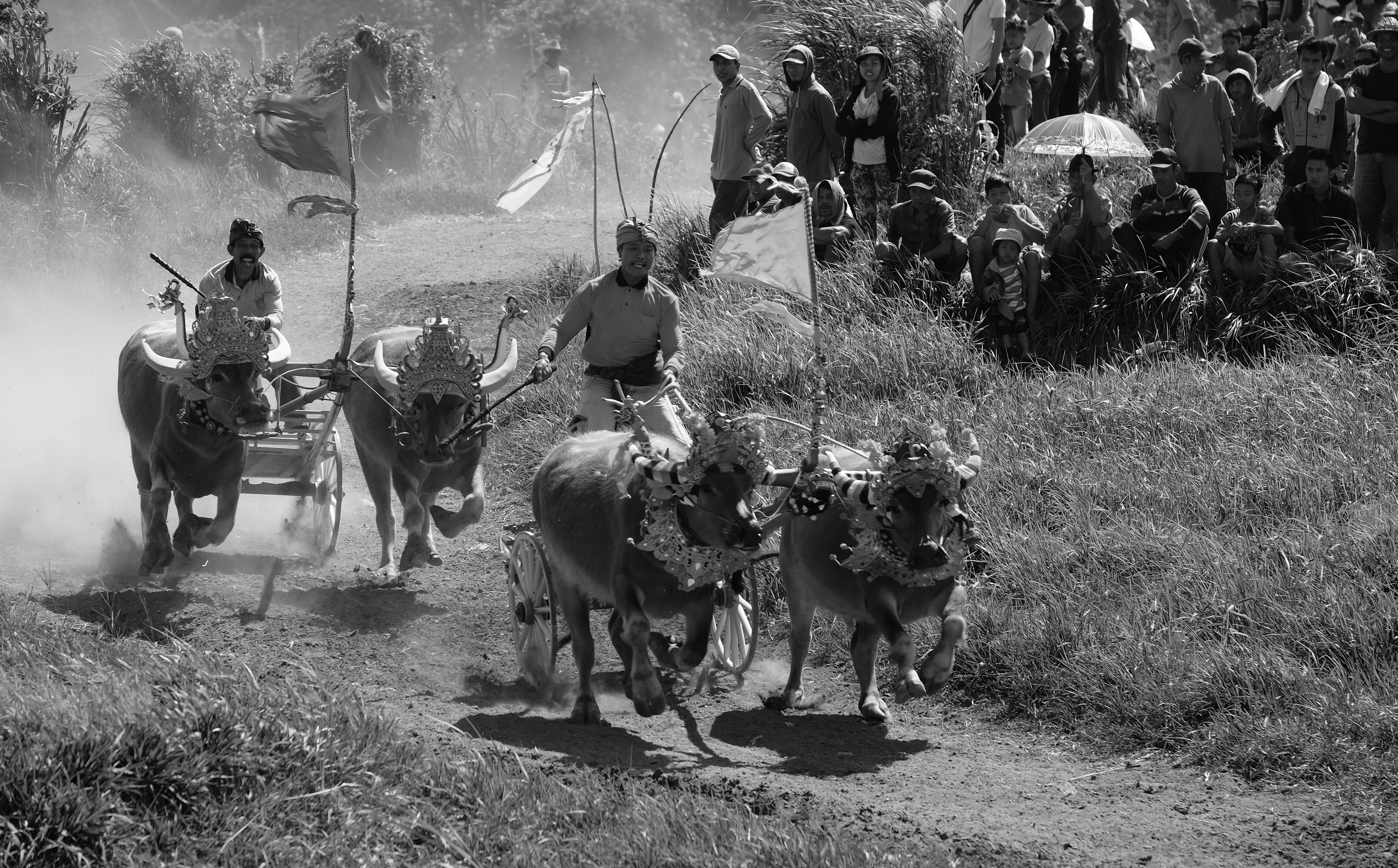 Bokep+Hamil+Indonesia+ Photos, Download The BEST Free Bokep+Hamil+Indonesia+ Stock Photos & HD ...