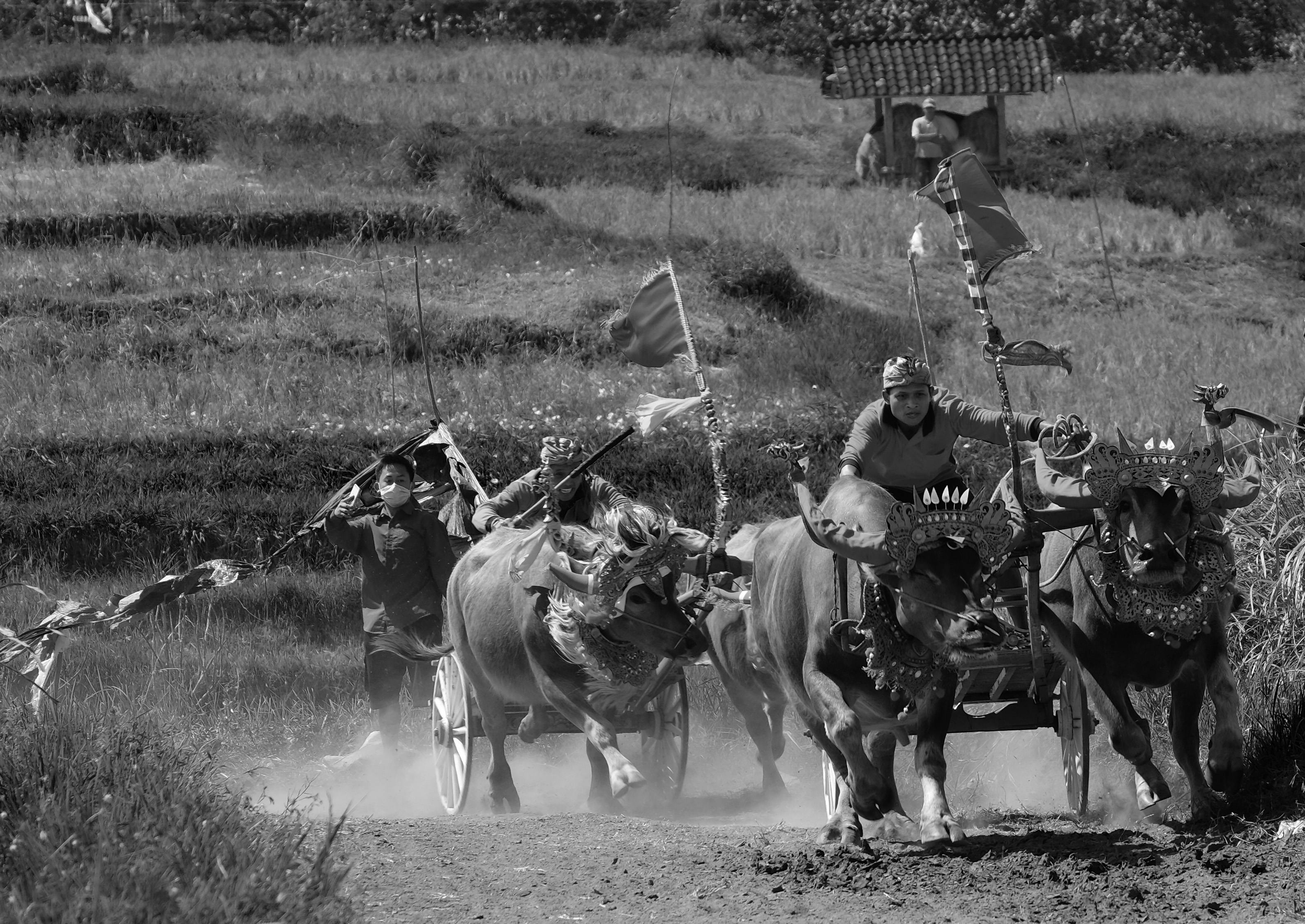 Bokep+Hamil+Indonesia+ Photos, Download The BEST Free Bokep+Hamil+Indonesia+ Stock Photos & HD ...