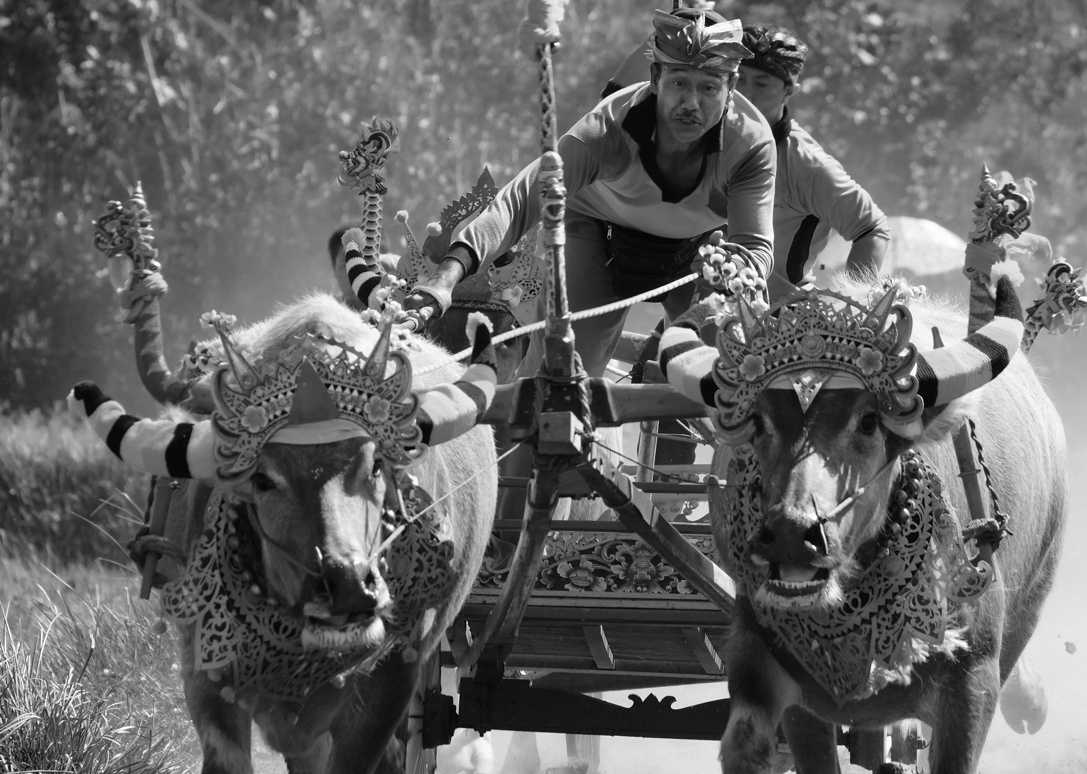 Bokep+Terbaru+Indonesia+ Photos, Download The BEST Free Bokep+Terbaru+Indonesia+ Stock Photos ...