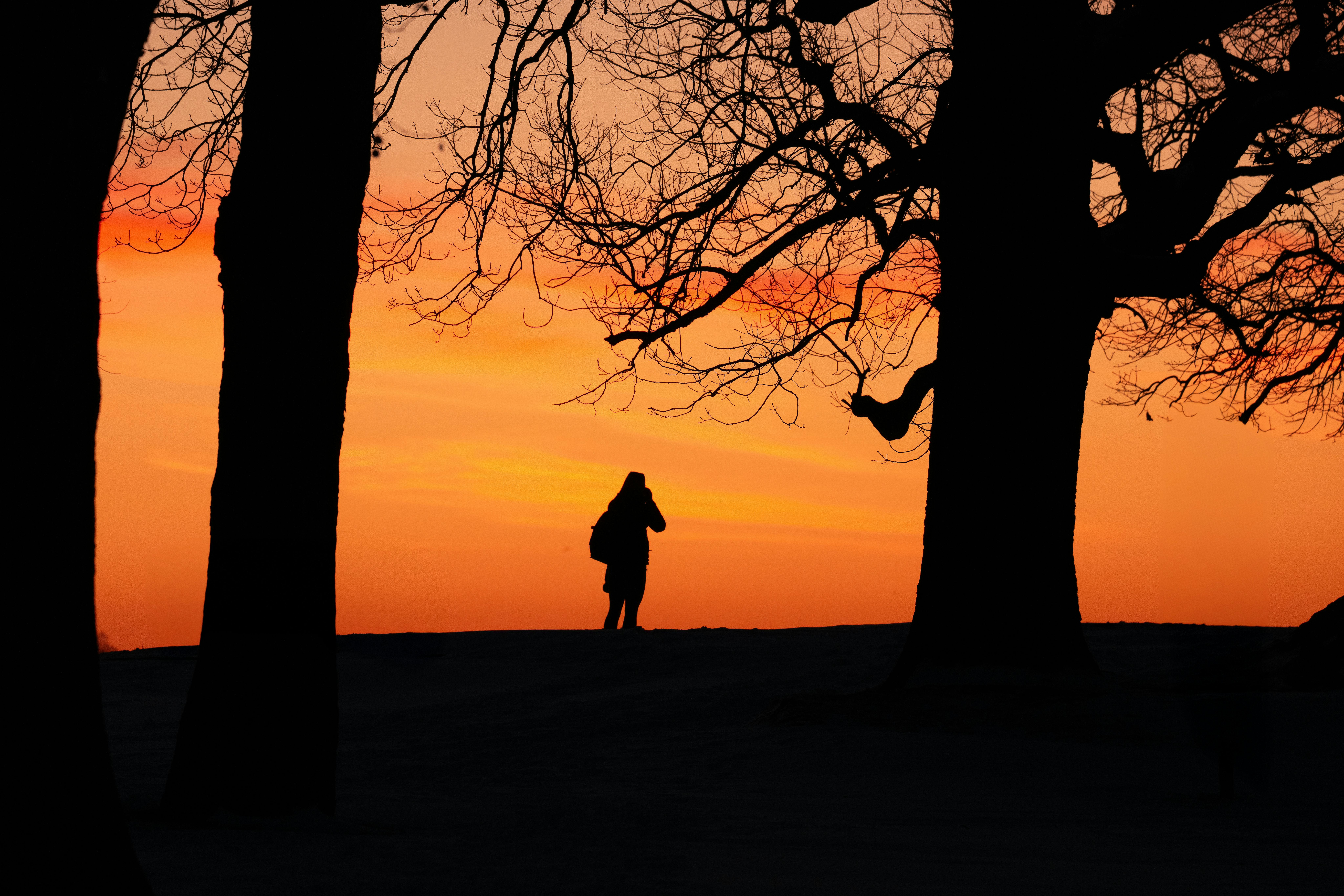 Pro+Photographer Photos, Download The BEST Free Pro+Photographer Stock ...