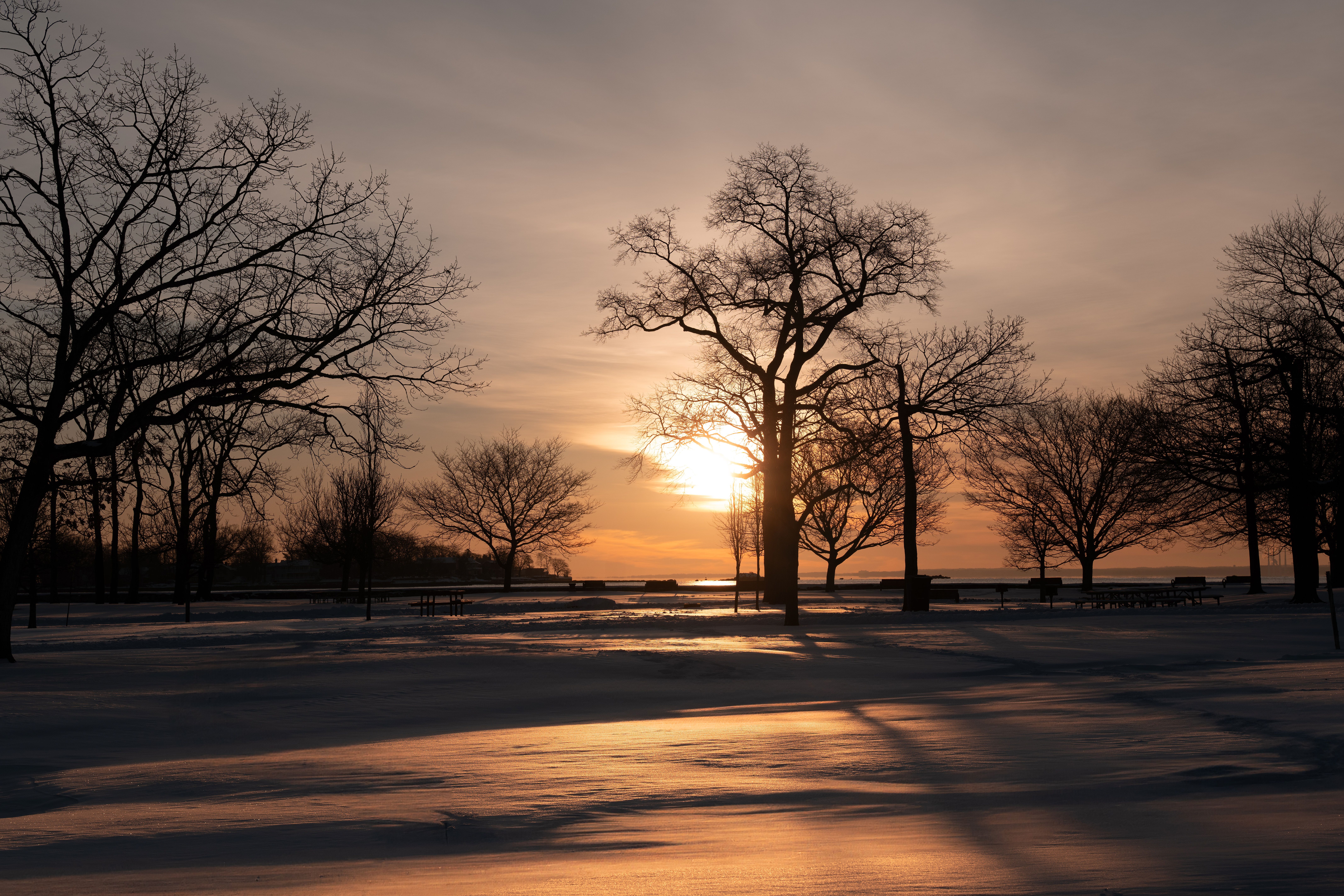 Winter Sunrise at Cove Island Park in Stamford · Free Stock Photo