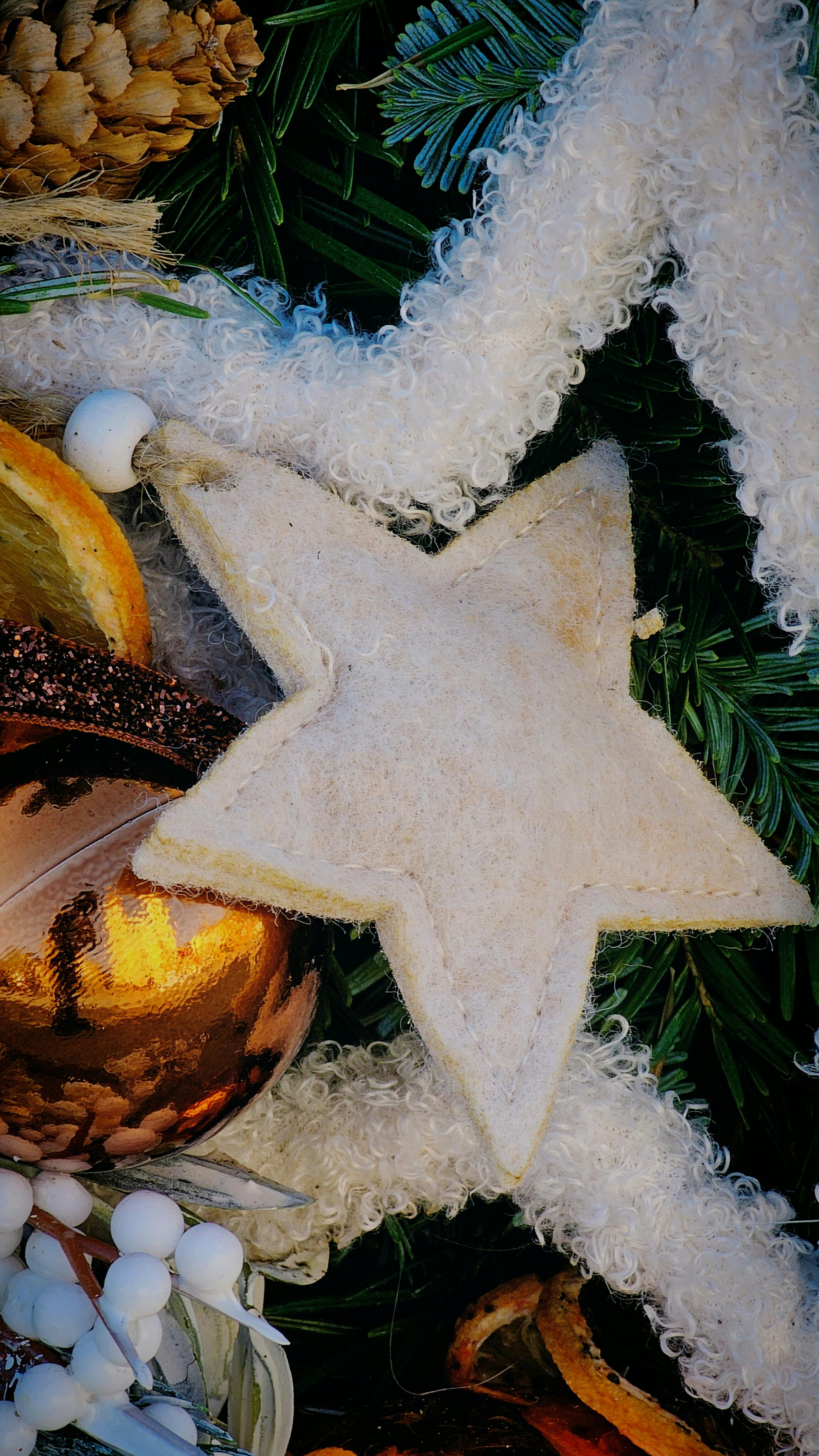 Background Design For Portfolio Photos, Download The BEST Free ...