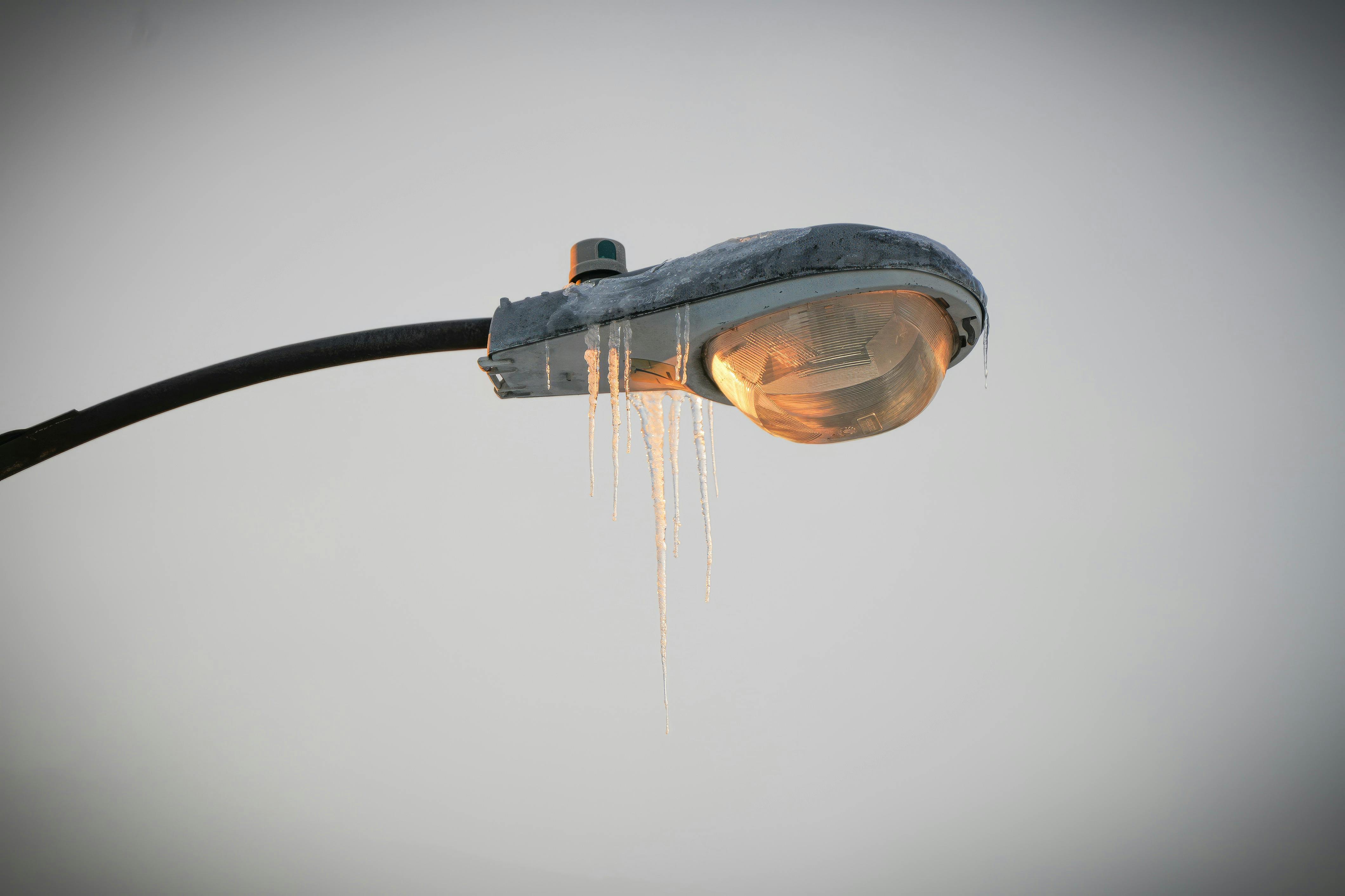 Daydrian Harding Photos, Download The BEST Free Daydrian Harding Stock ...