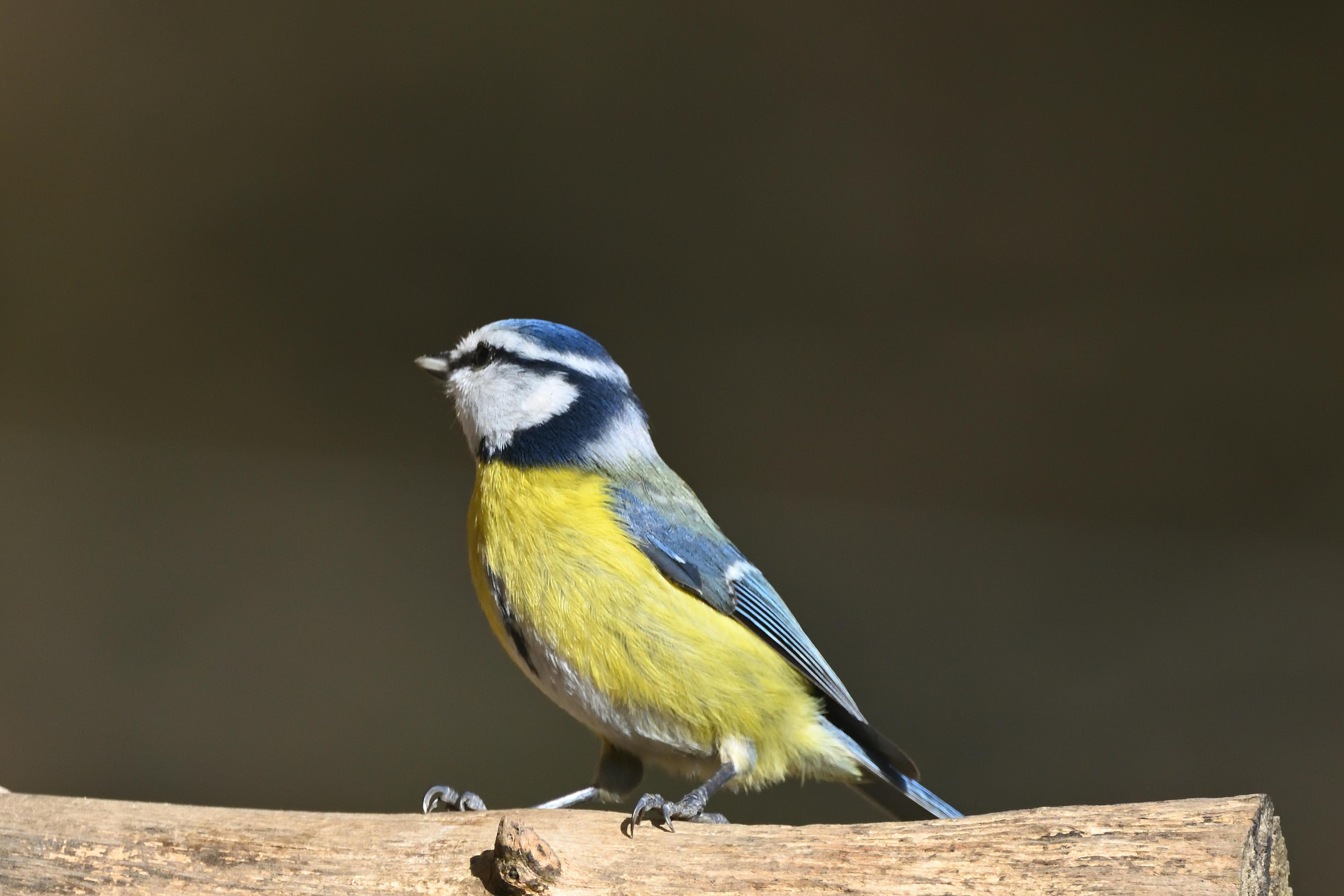 Cute!! Photos, Download The BEST Free Cute!! Stock Photos & HD Images