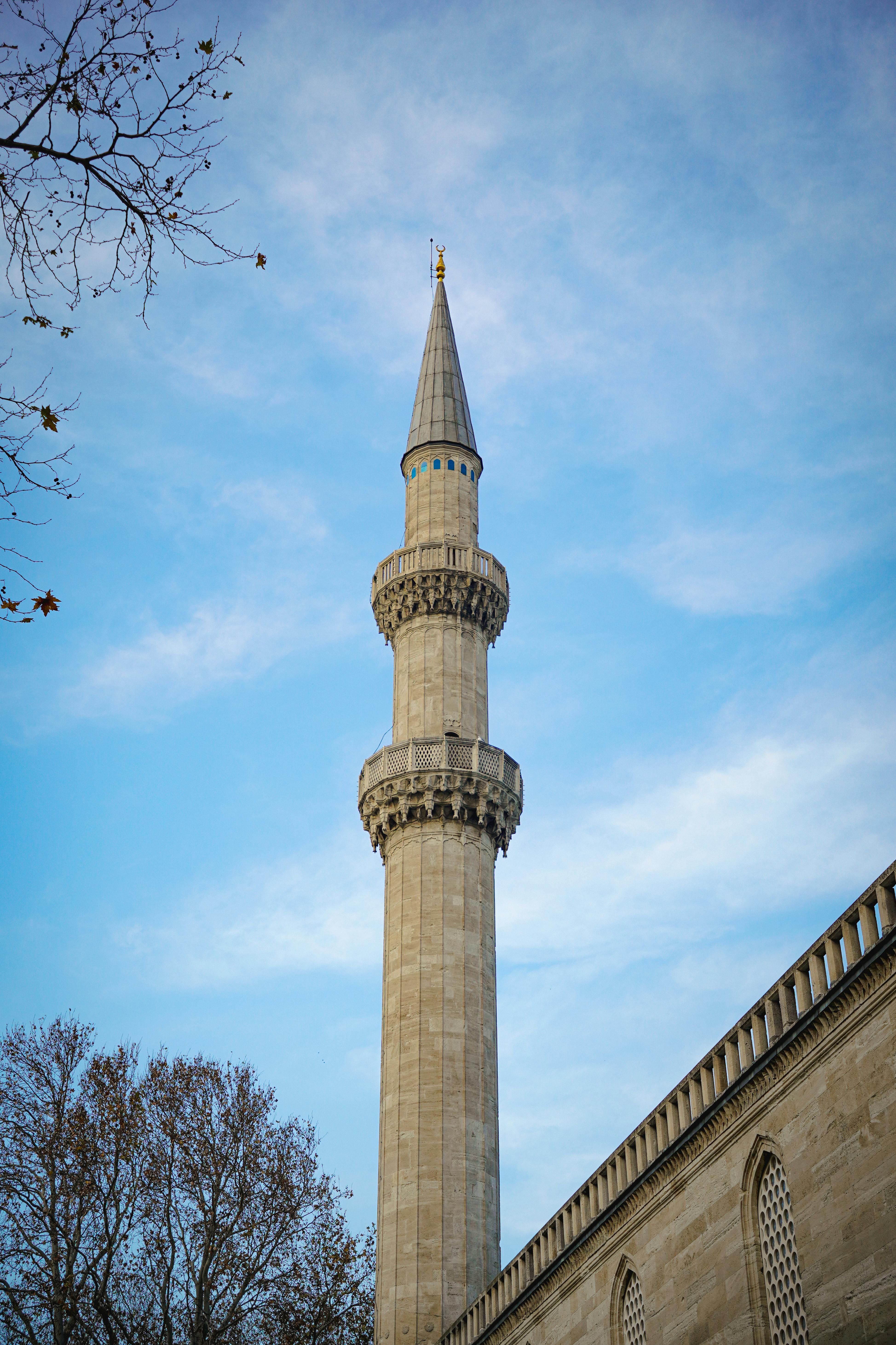 Default+Photo+With+P Photos, Download The BEST Free Default+Photo+With ...