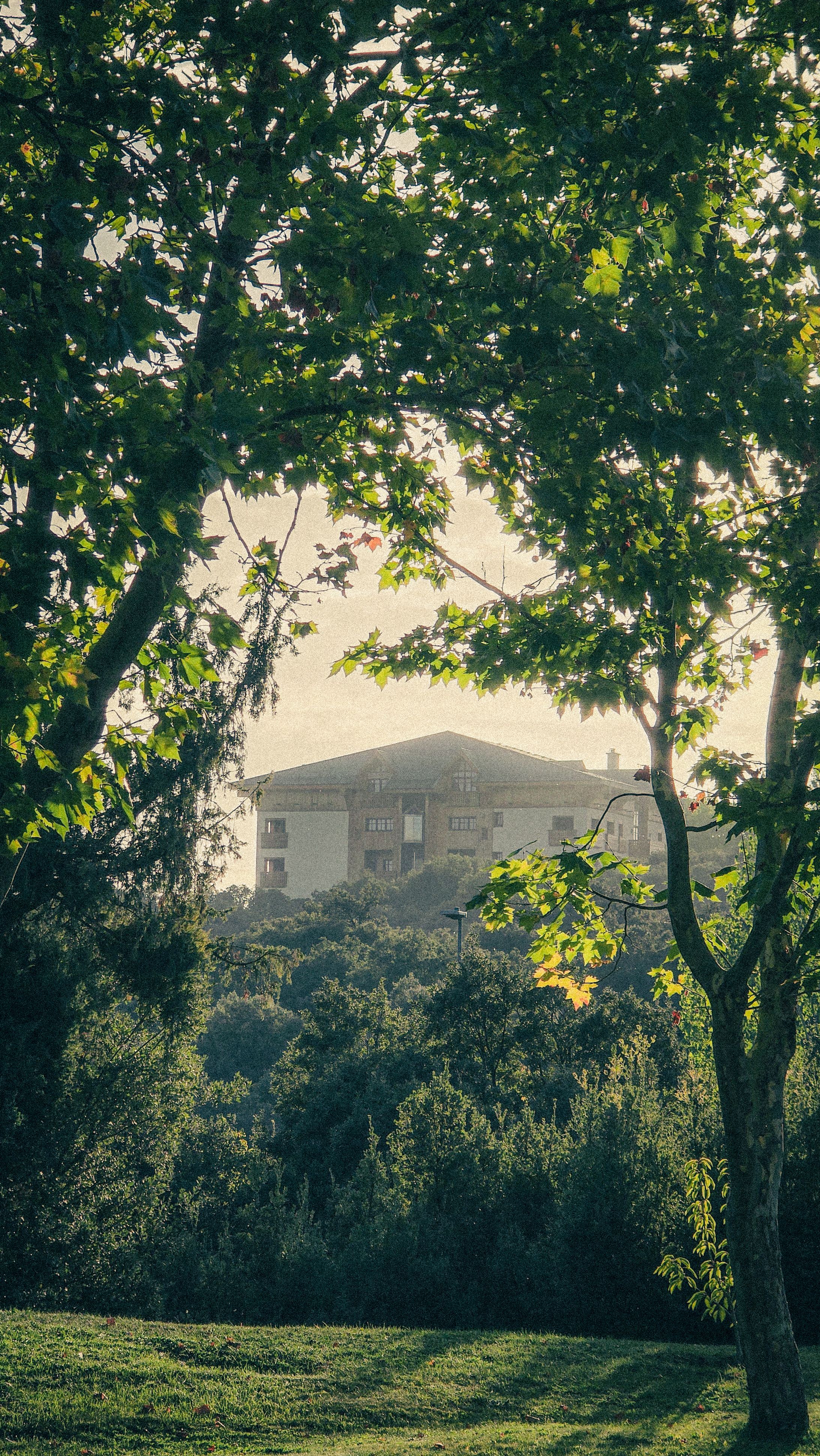 Scenic View of Building Surrounded by Lush Greenery · Free Stock Photo