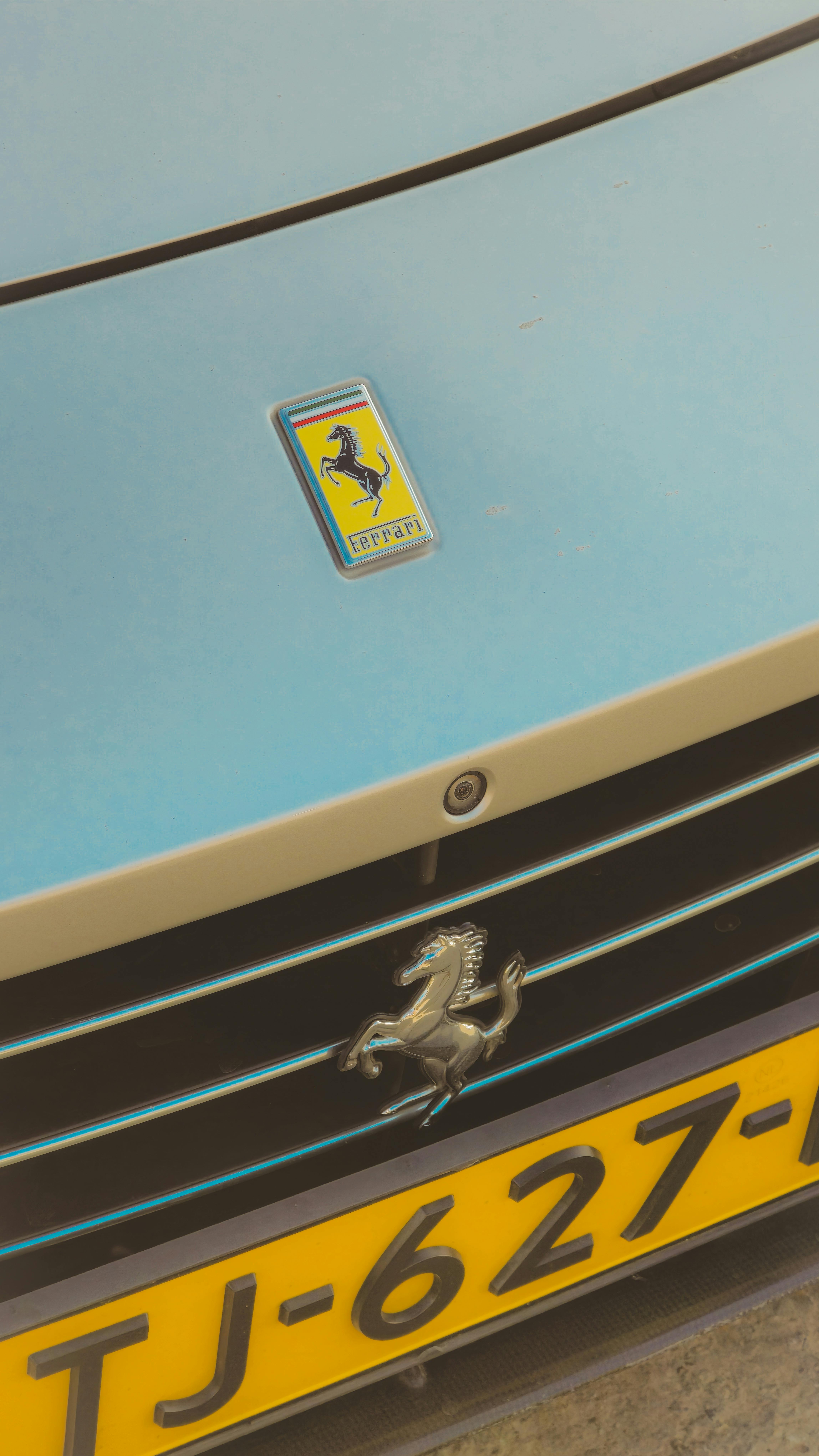 Close-Up of Sports Car Emblem with License Plate · Free Stock Photo