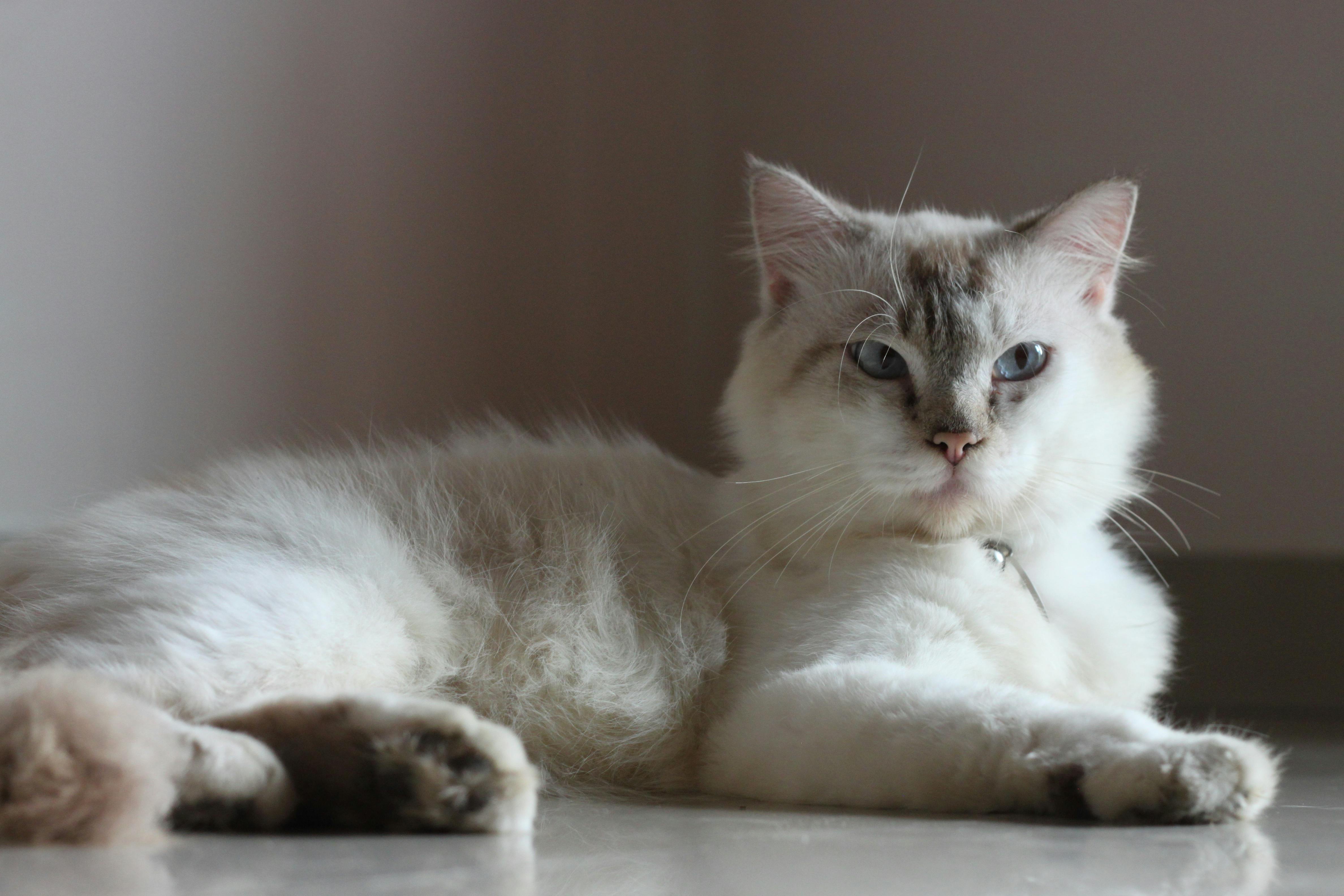 Cute+Nn+Jb+Girls Photos, Download The BEST Free Cute+Nn+Jb+Girls Stock ...