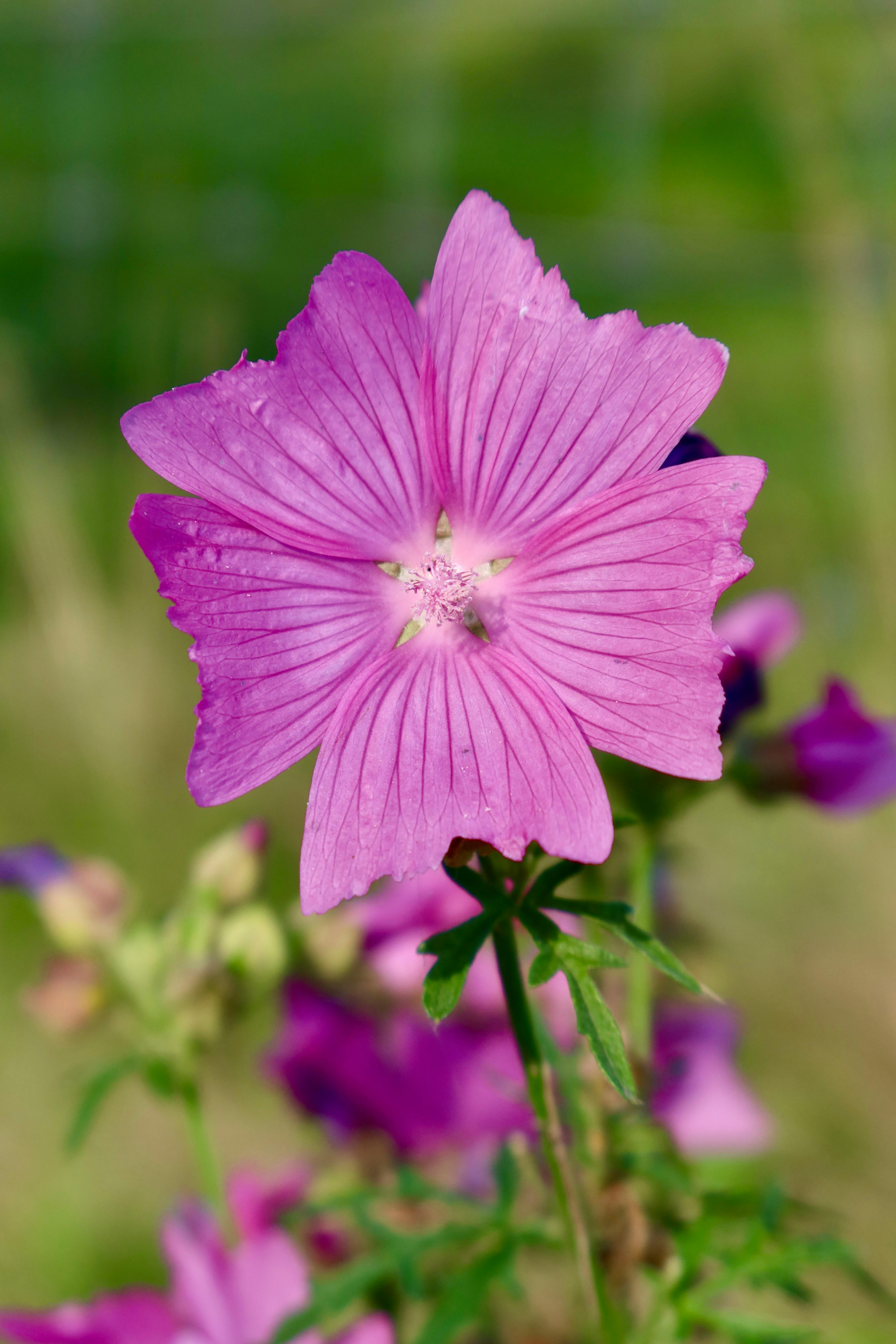 100.000+ melhores imagens de Pond+inlet+weather · Download 100% grátis ...