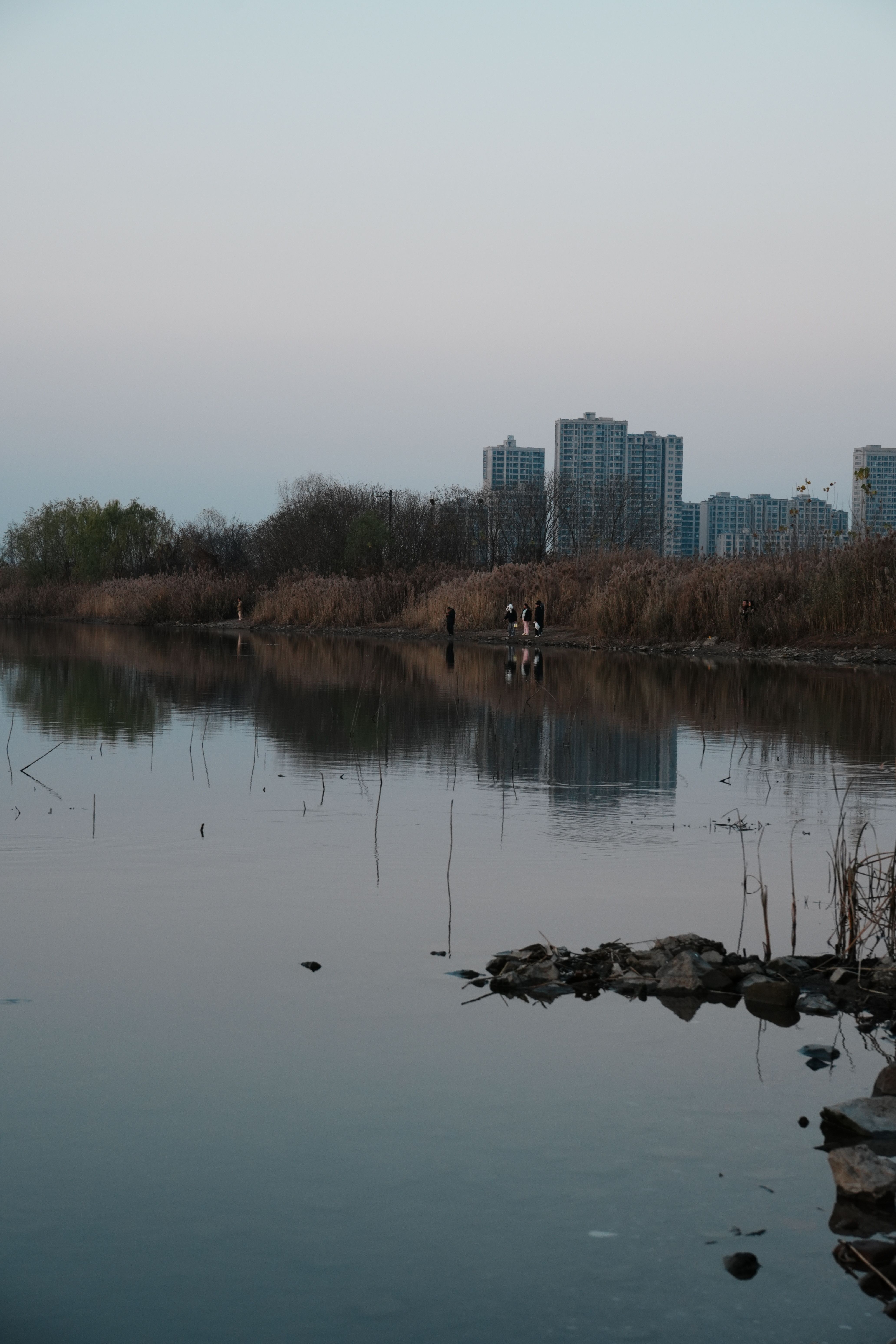 Tranquil Urban Lake Reflecting City Skyline · Free Stock Photo