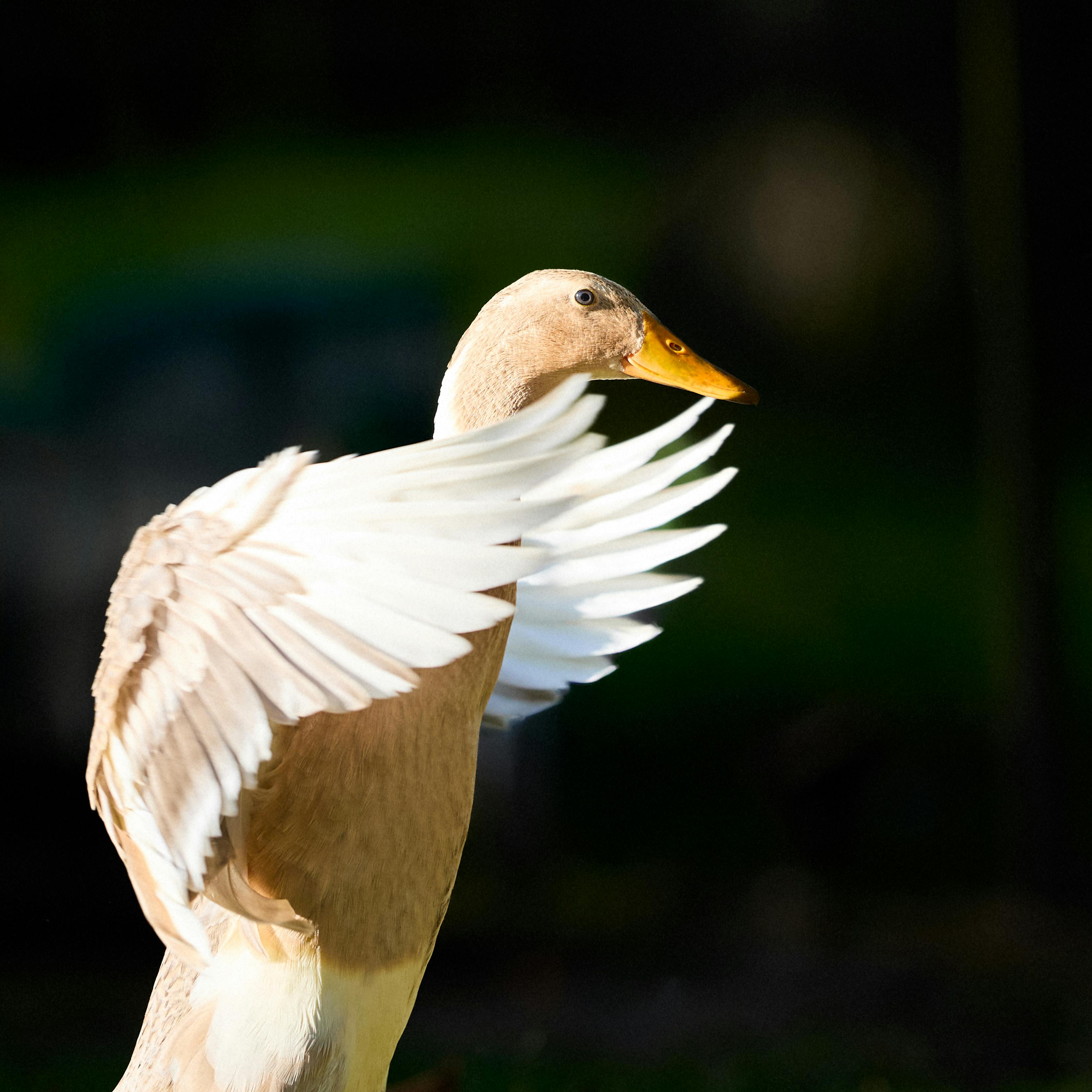 Kids+Naturism+Yandex Photos, Download The BEST Free Kids+Naturism ...