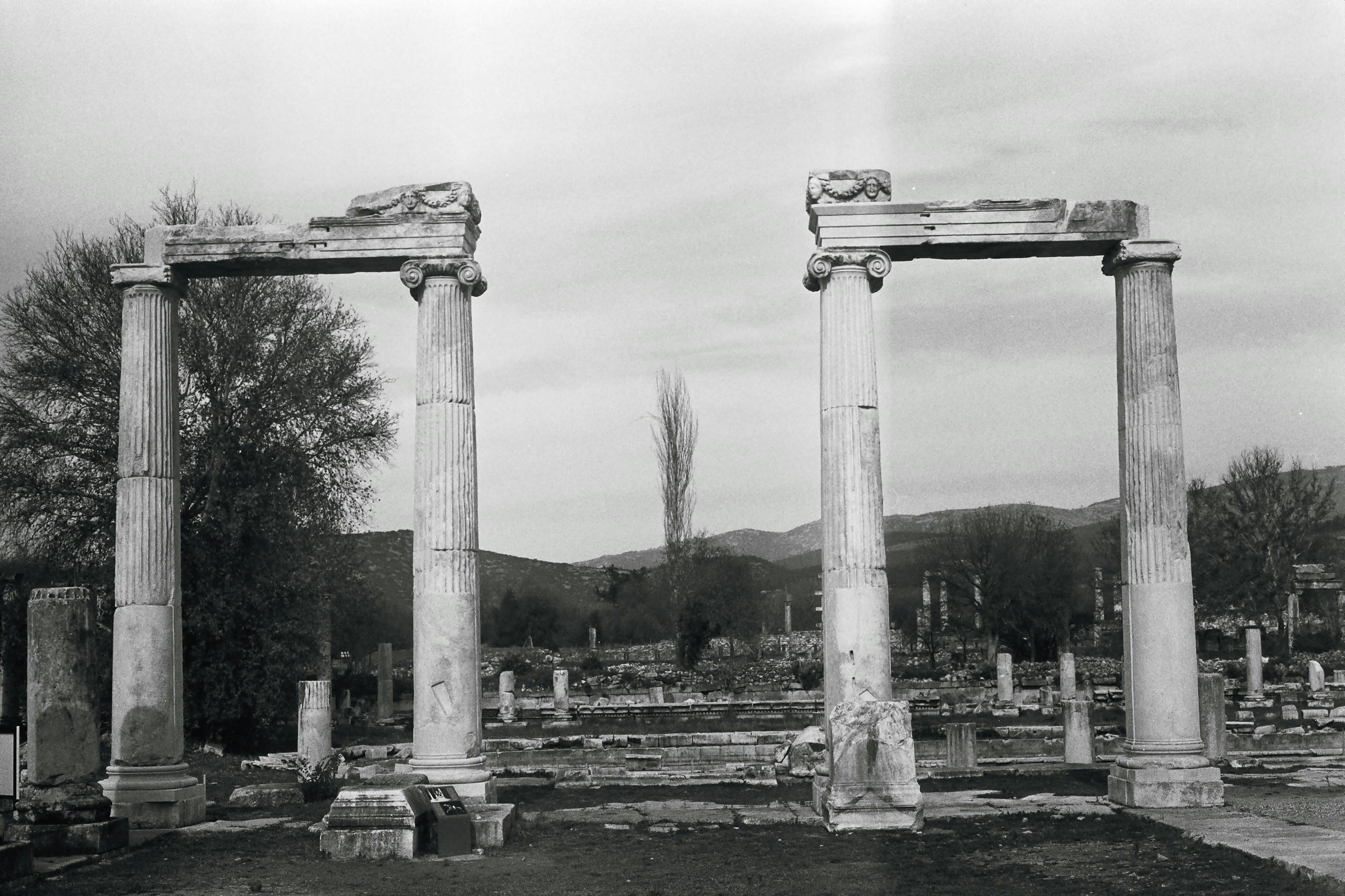 Ancient Ruins with Doric Columns in Black and White · Free Stock Photo
