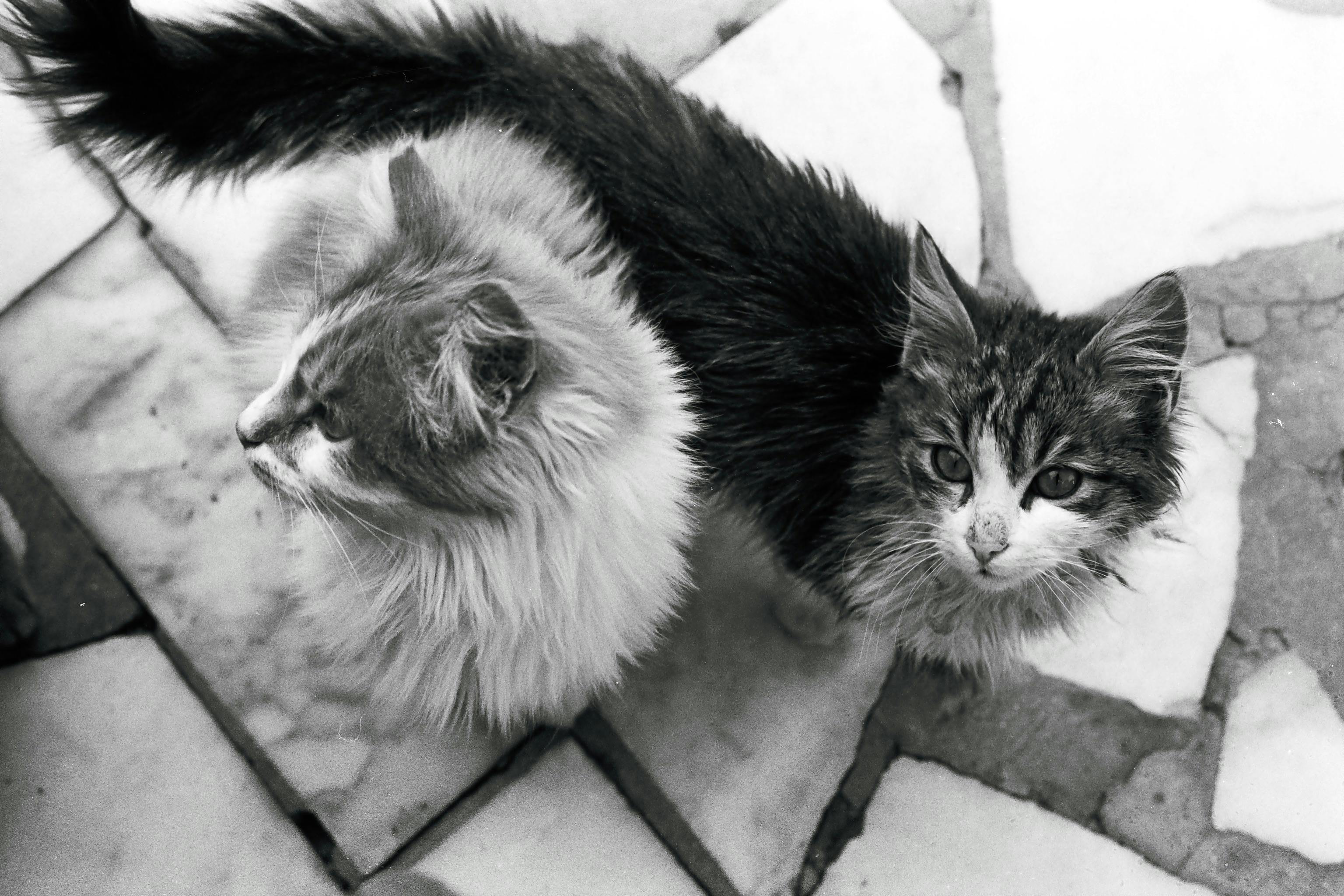 Check+Book+Images Photos, Download The BEST Free Check+Book+Images ...