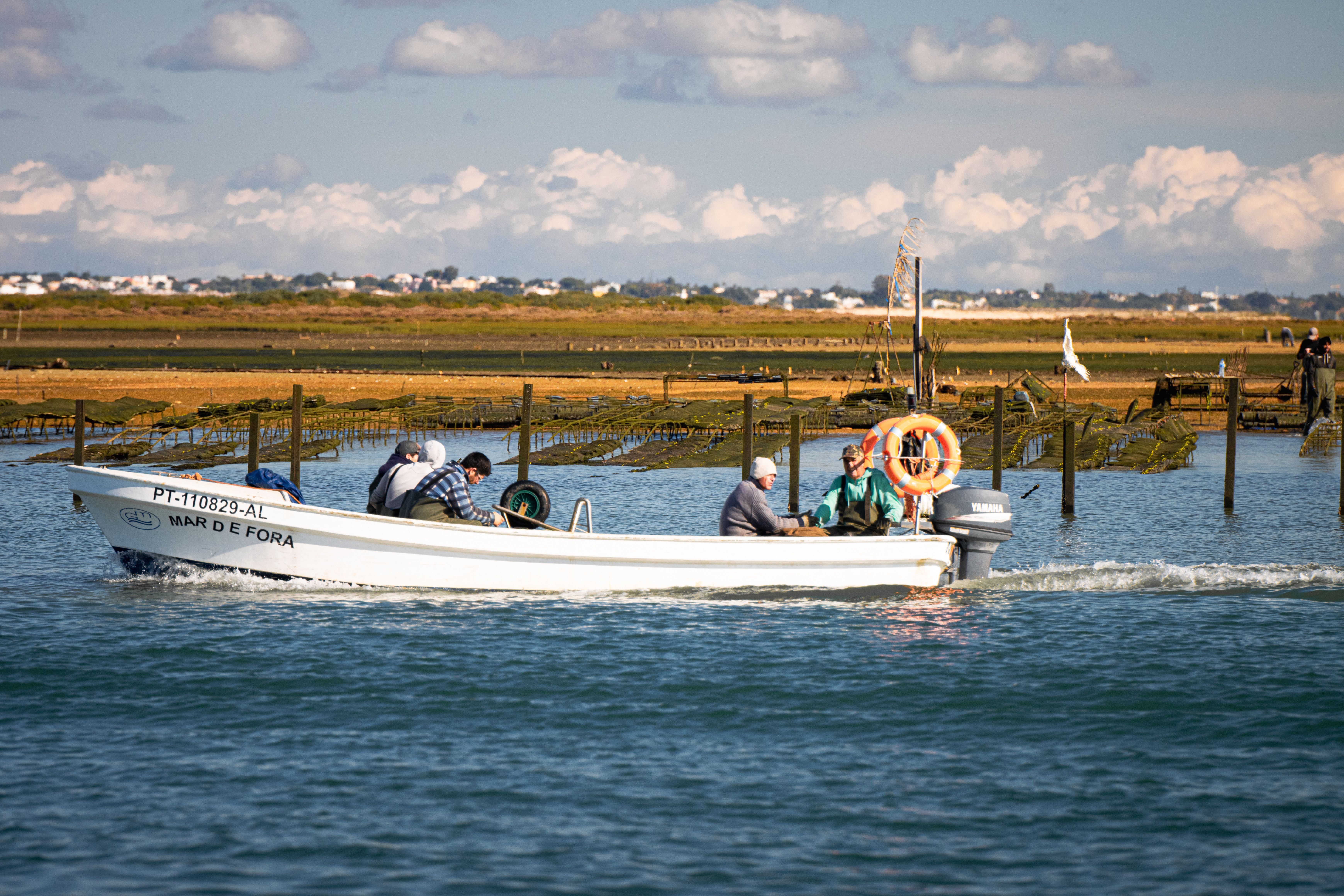 Fishing Boat in Olhão, Portugal's Ria Formosa · Free Stock Photo