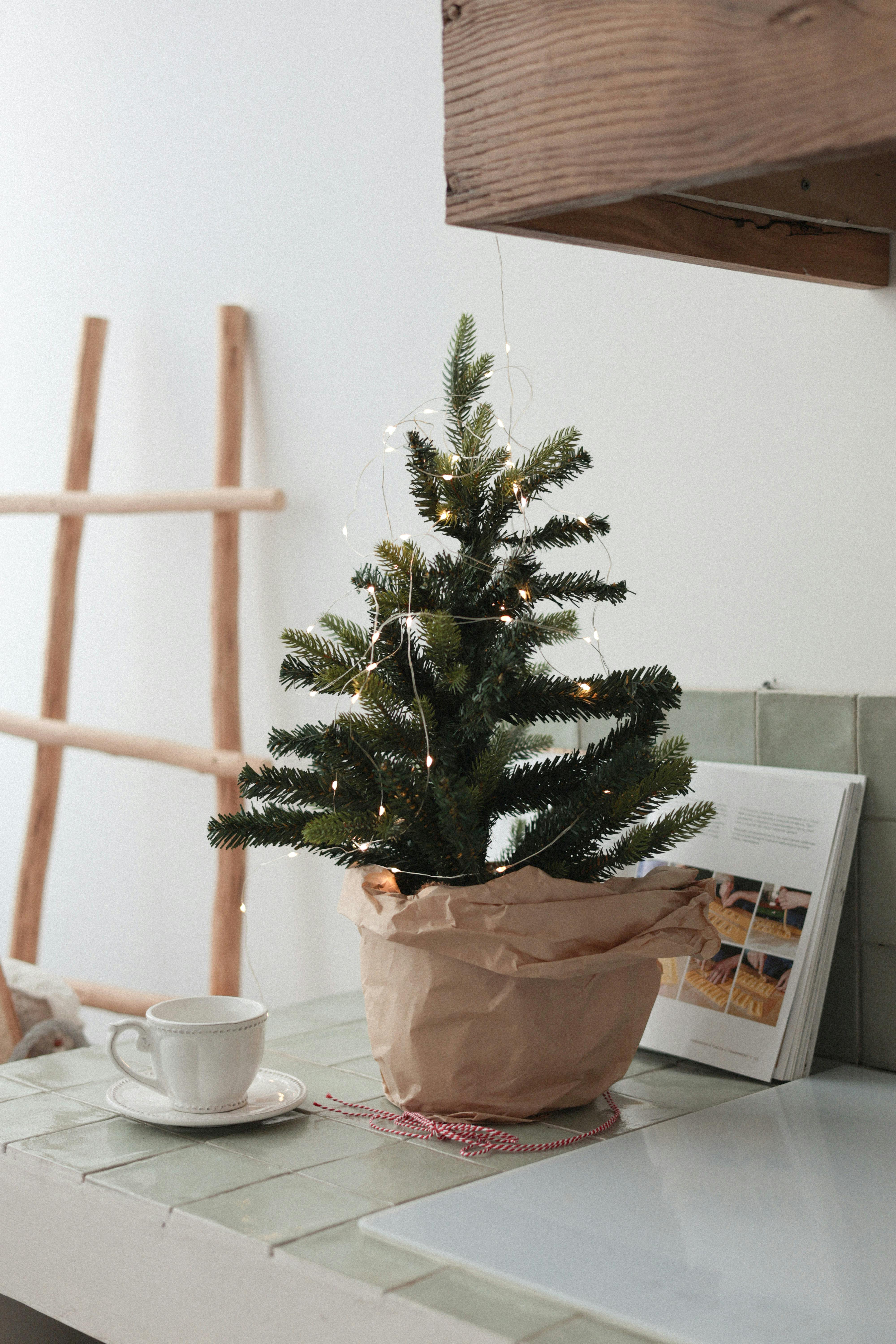 Graphic+Design+Studios Photos, Download The BEST Free Graphic+Design ...