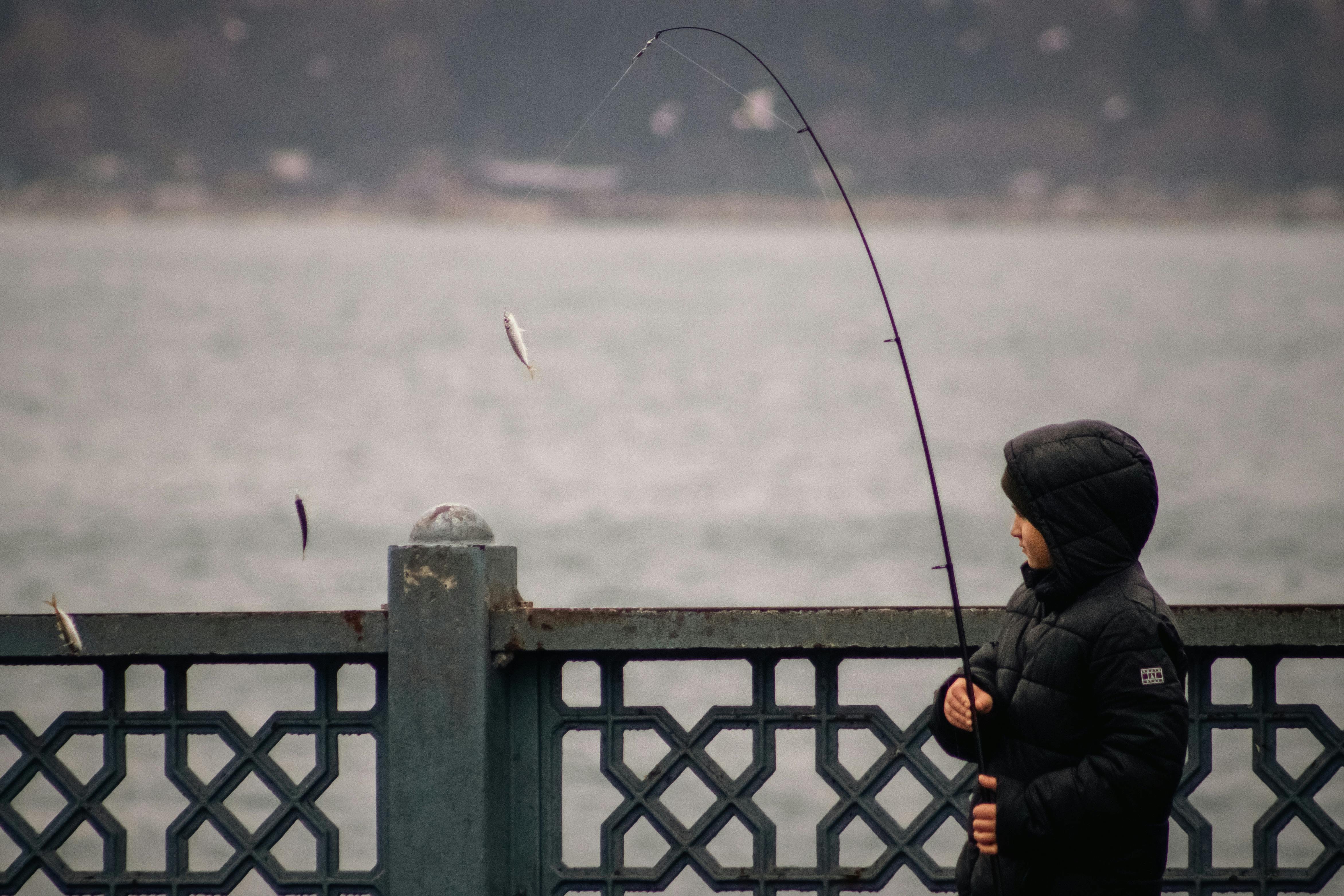 Hood Photos, Download The BEST Free Hood Stock Photos & HD Images