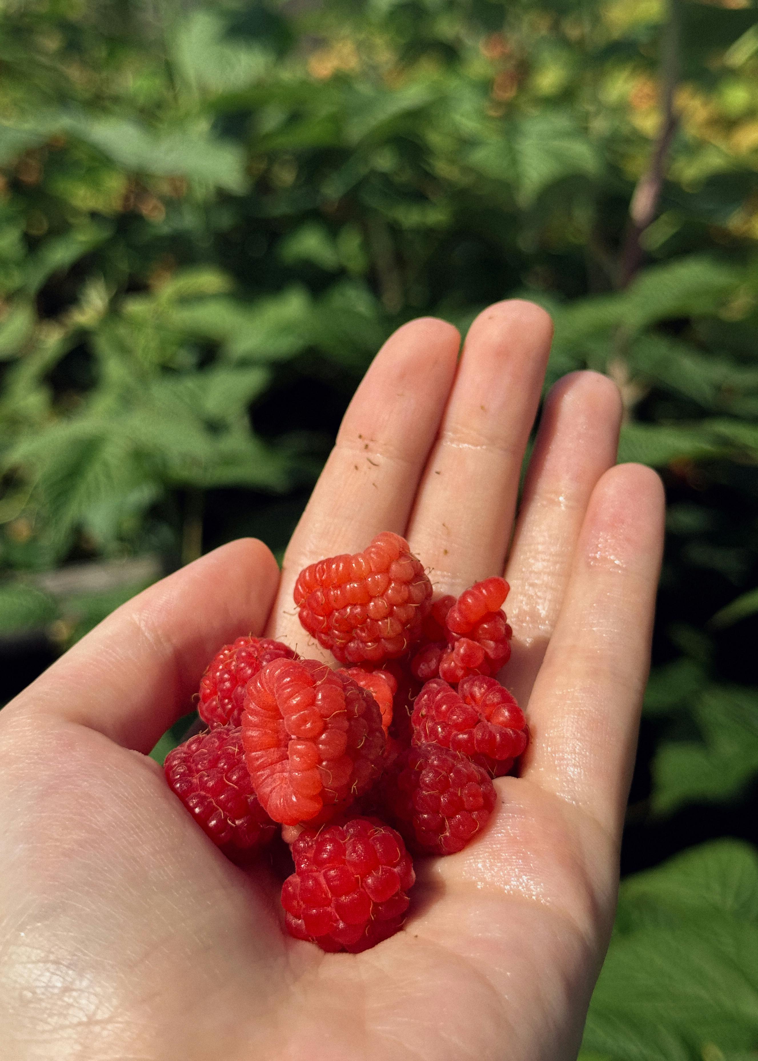 "Duo Based+Ensemble" Photos, Download The BEST Free "Duo Based+Ensemble ...