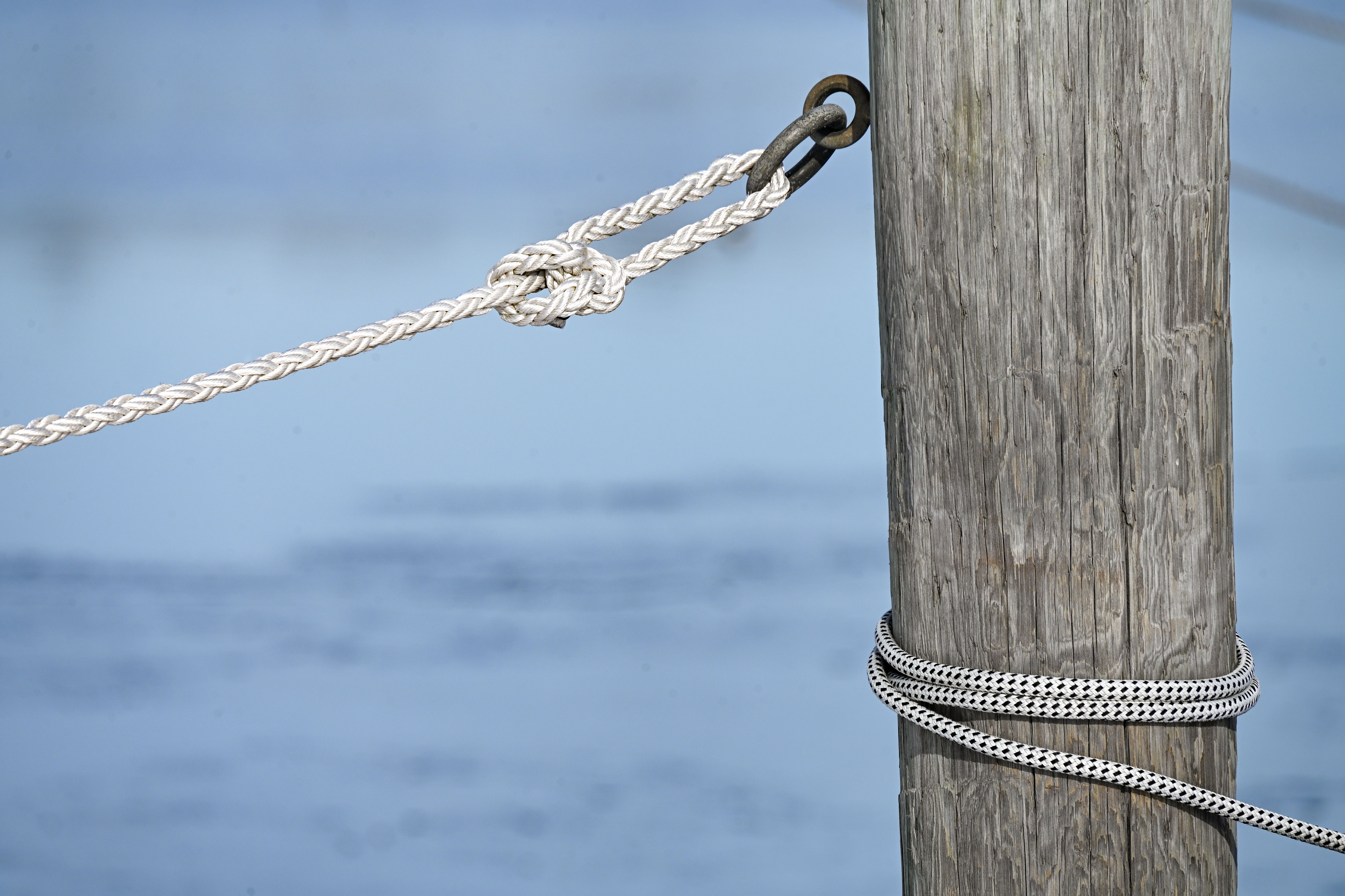 Nautical rope tied on wooden dock post · Free Stock Photo